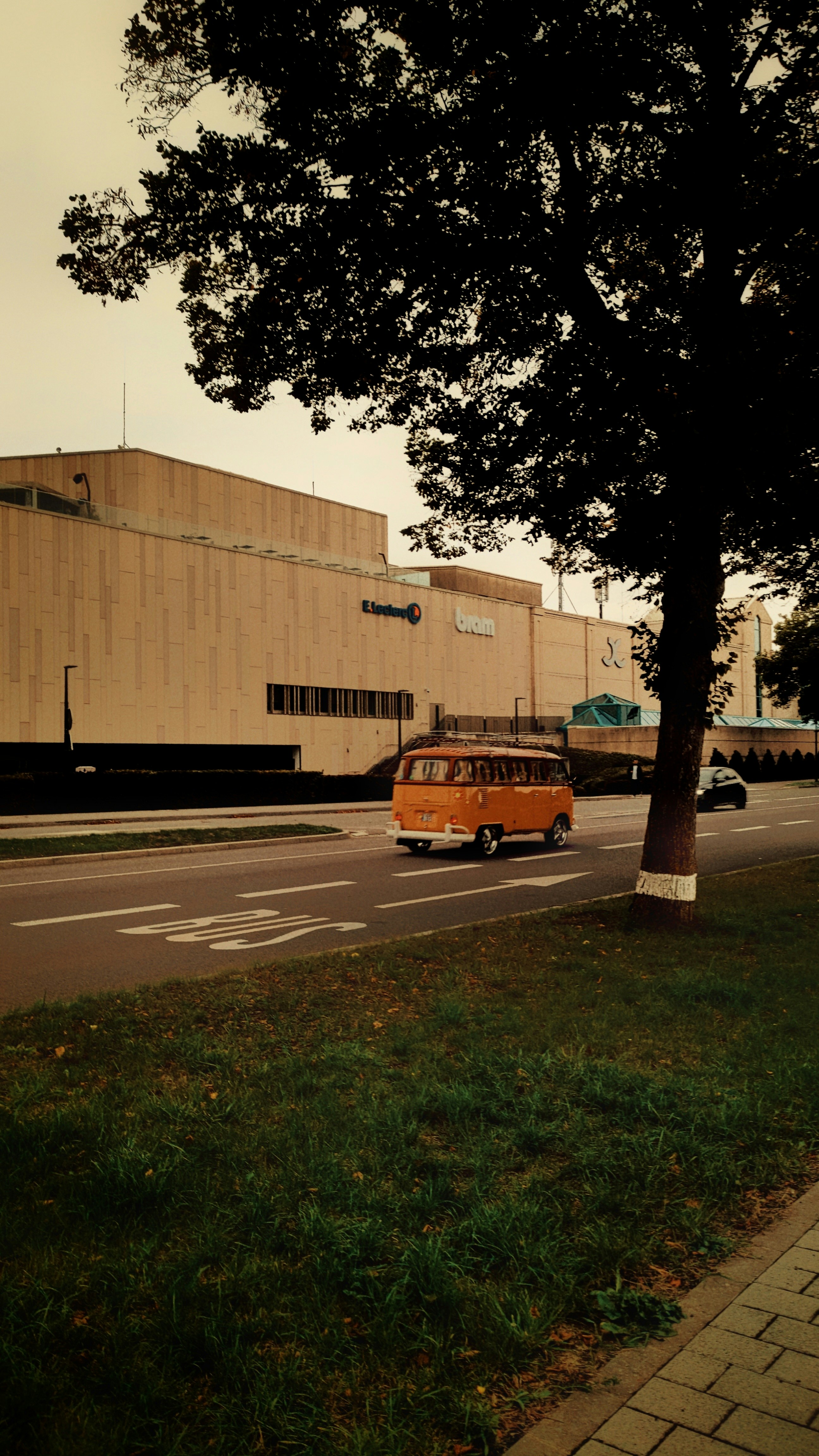 Photo by Helena Lila