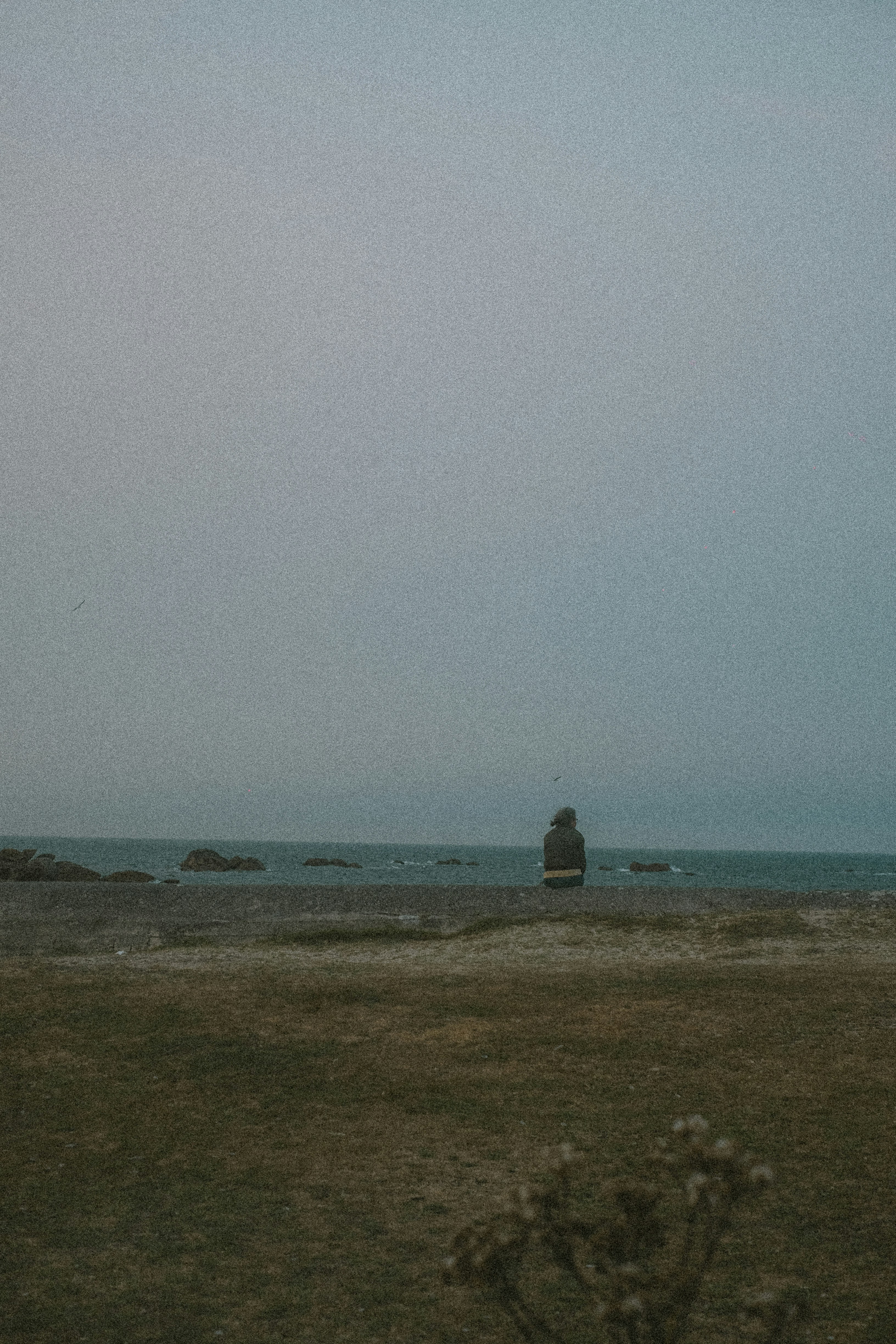 A solitary figure gazes out over the tranquil sea, surrounded by rocky formations and a muted sky. The scene evokes a sense of introspection.