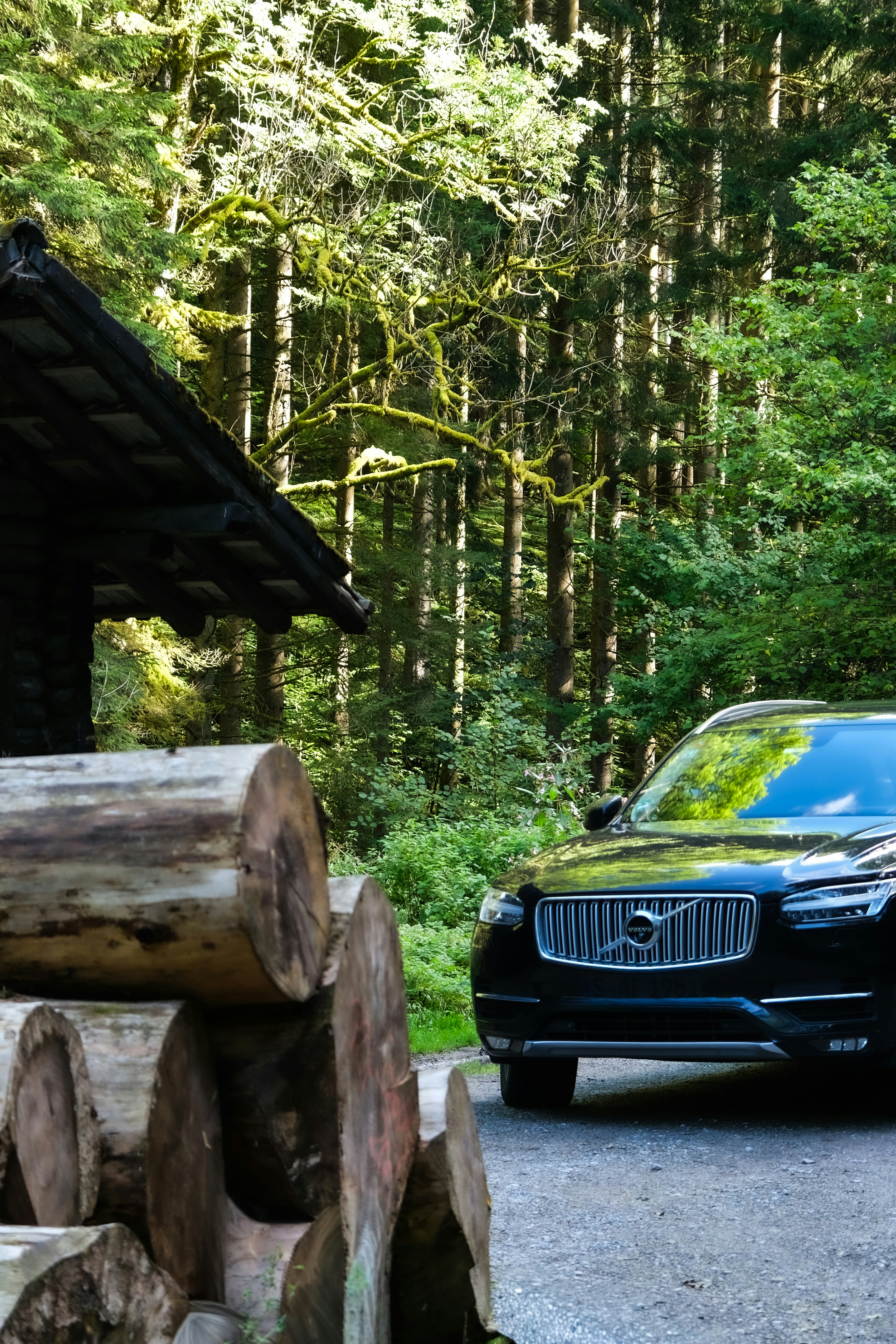 Timberline Approach: A Volvo Stands Quiet by a Log Stack