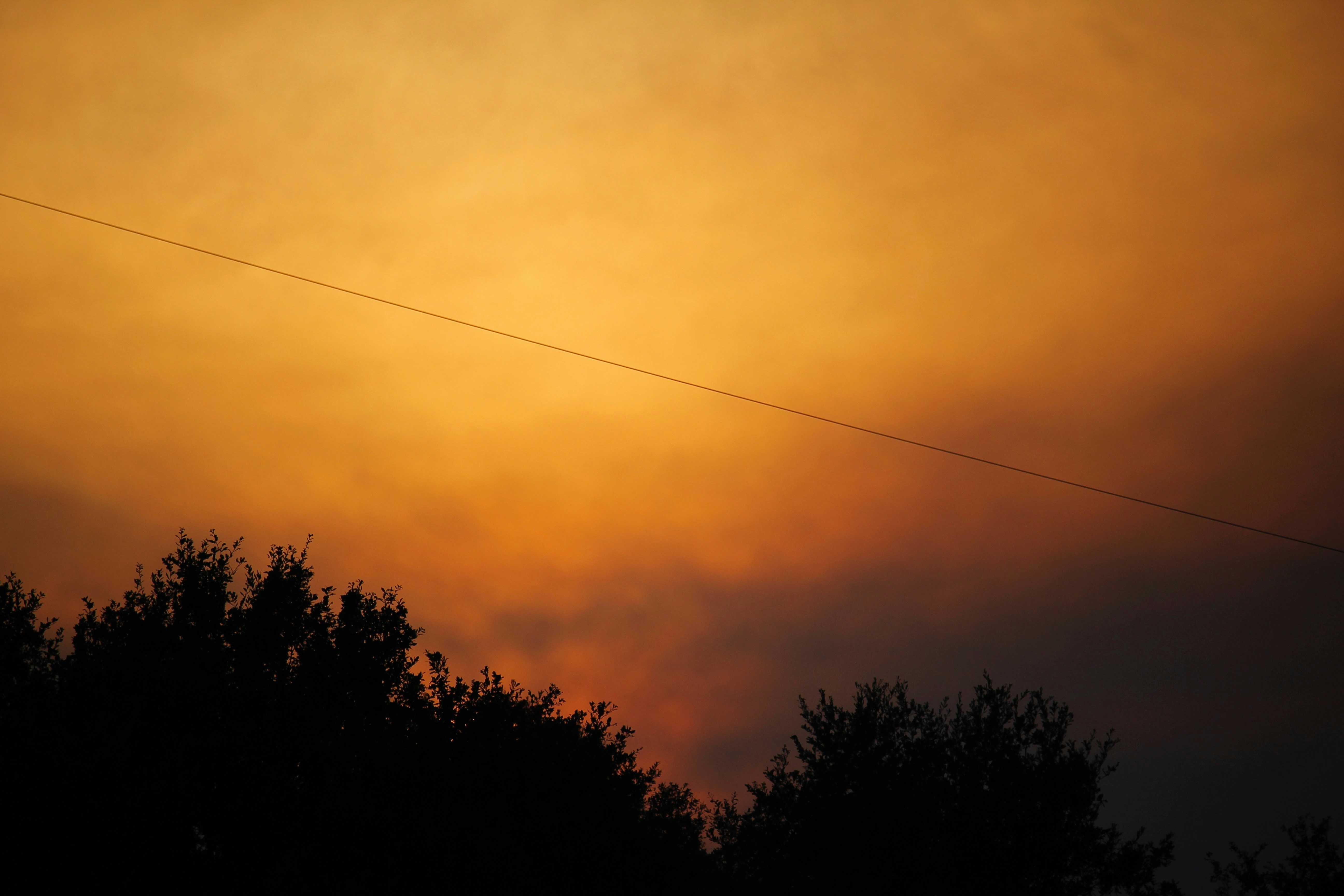 Orange sky with silhouetted trees at dusk