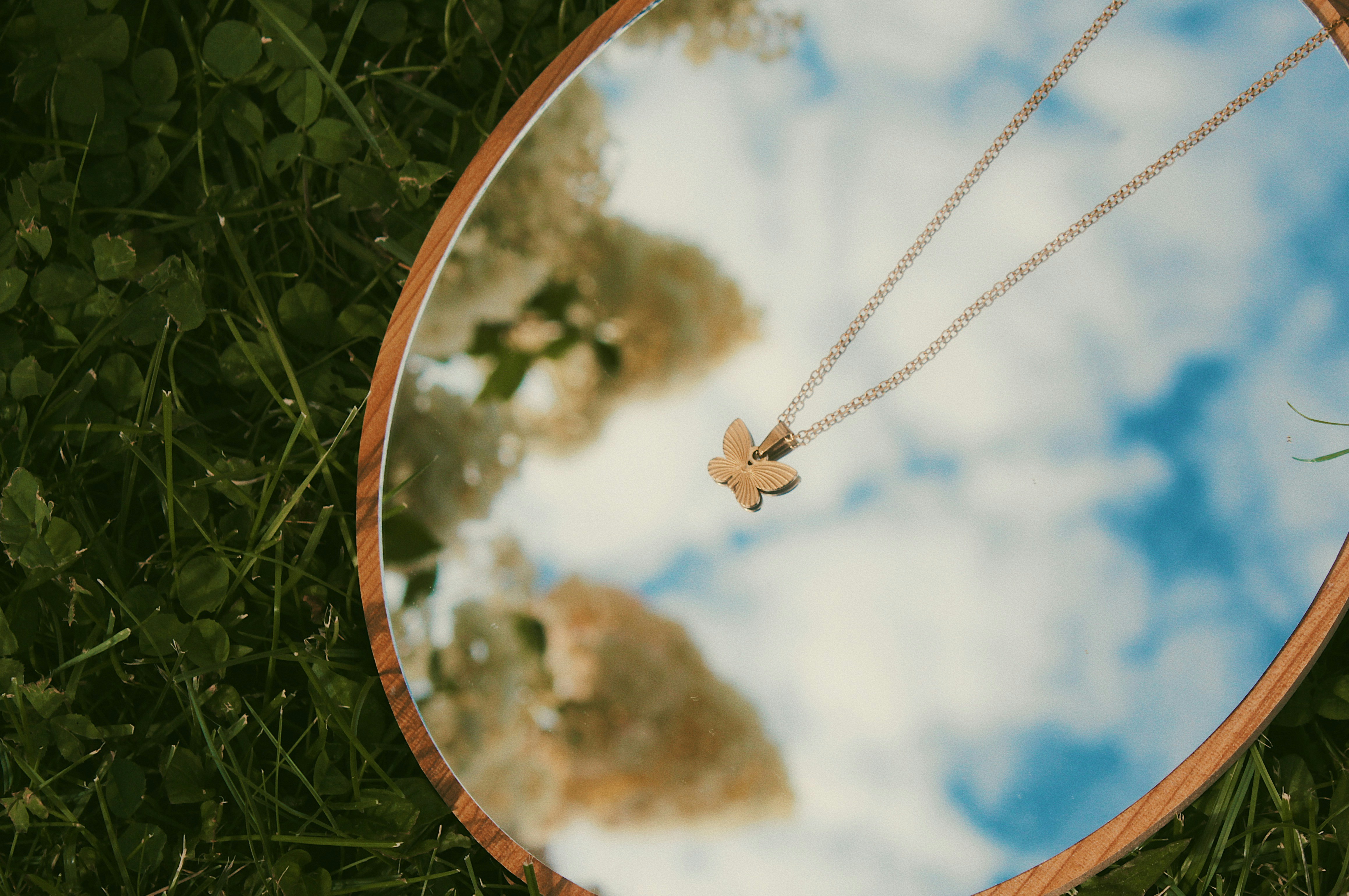 Reflections of Nature: A Delicate Adornment