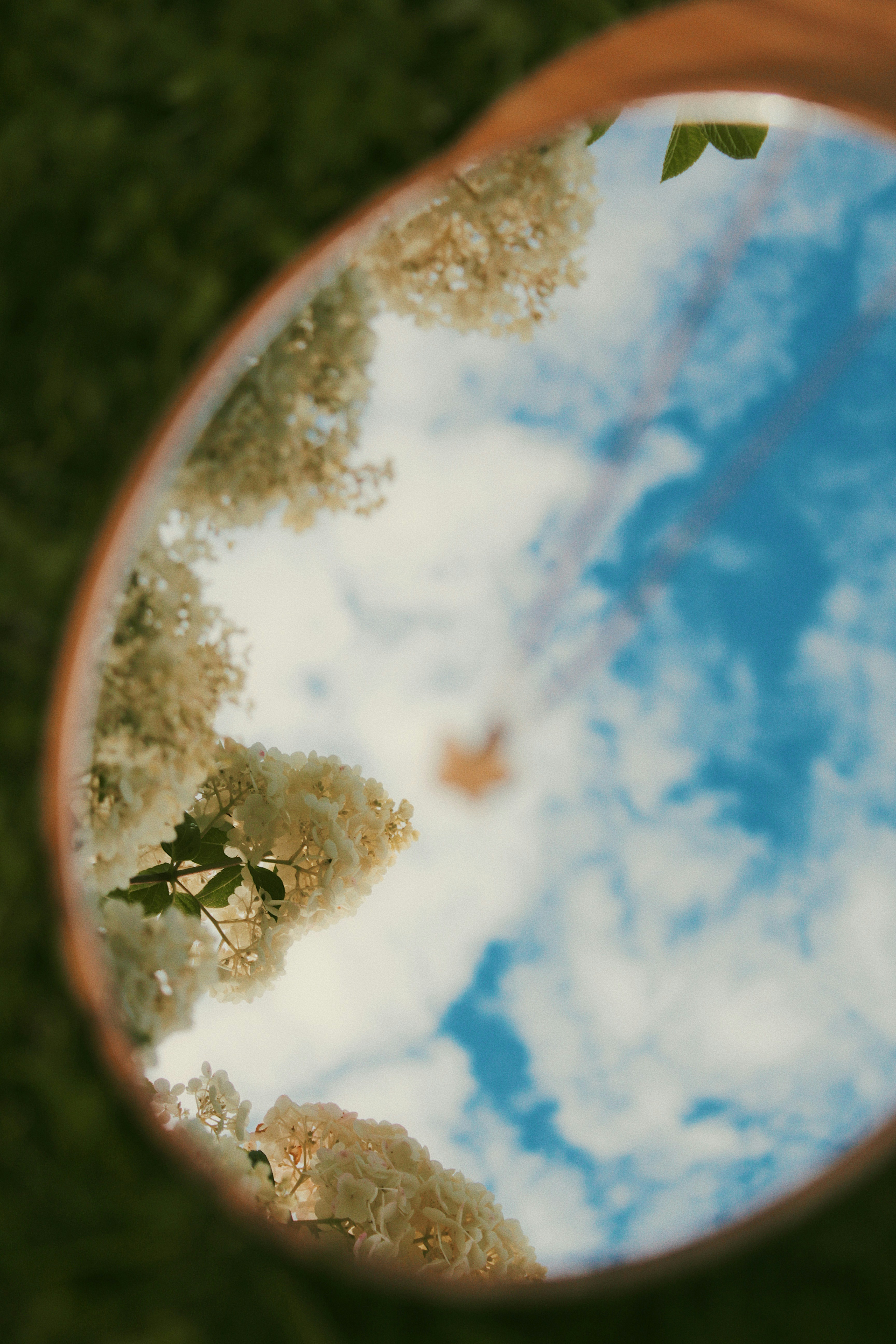 Circular mirror reflecting blooming flowers and a blue sky, creating a serene and tranquil atmosphere.