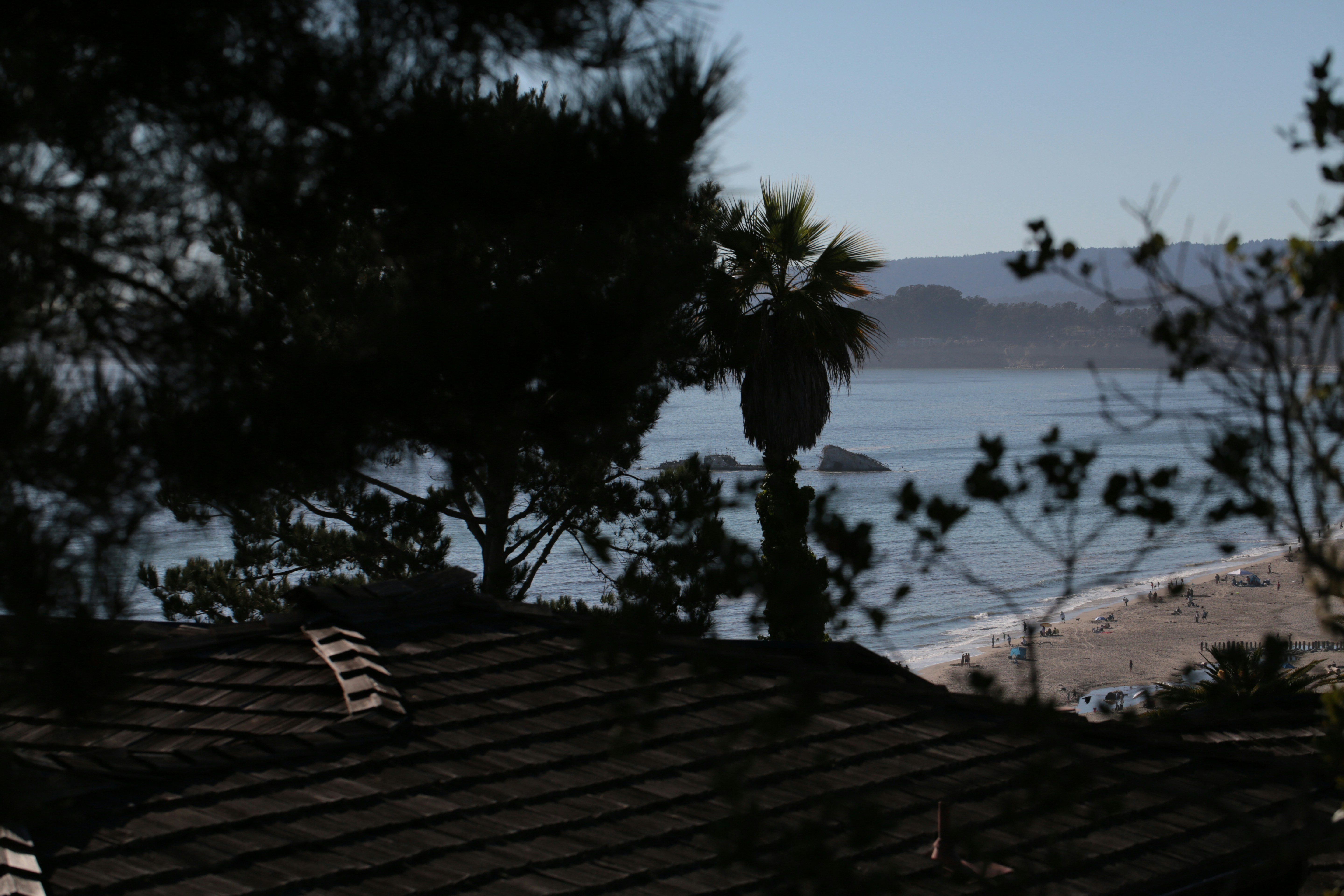 Coastal Serenity Through the Canopy