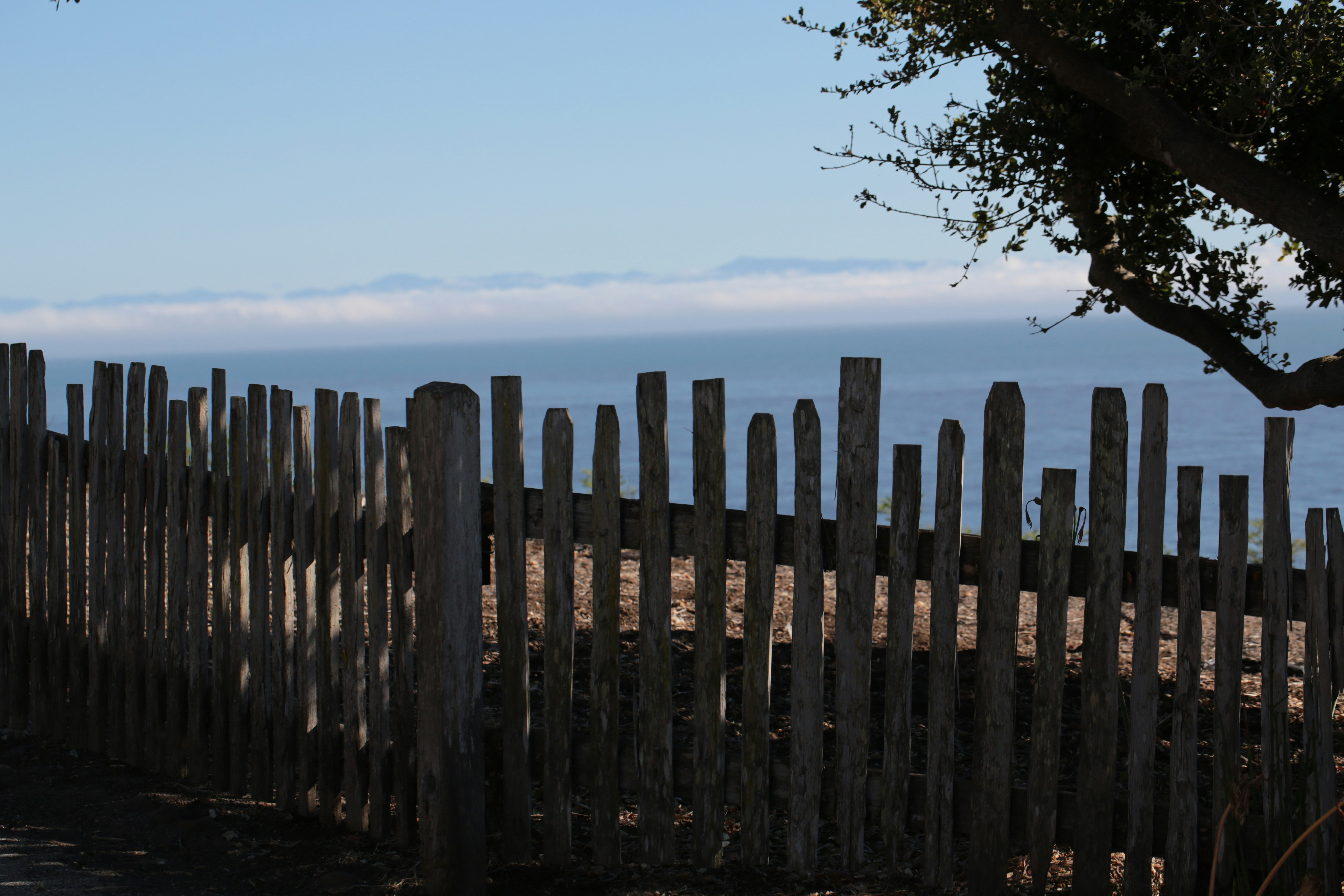 Weathered fence by the sea: slats marching toward the horizon