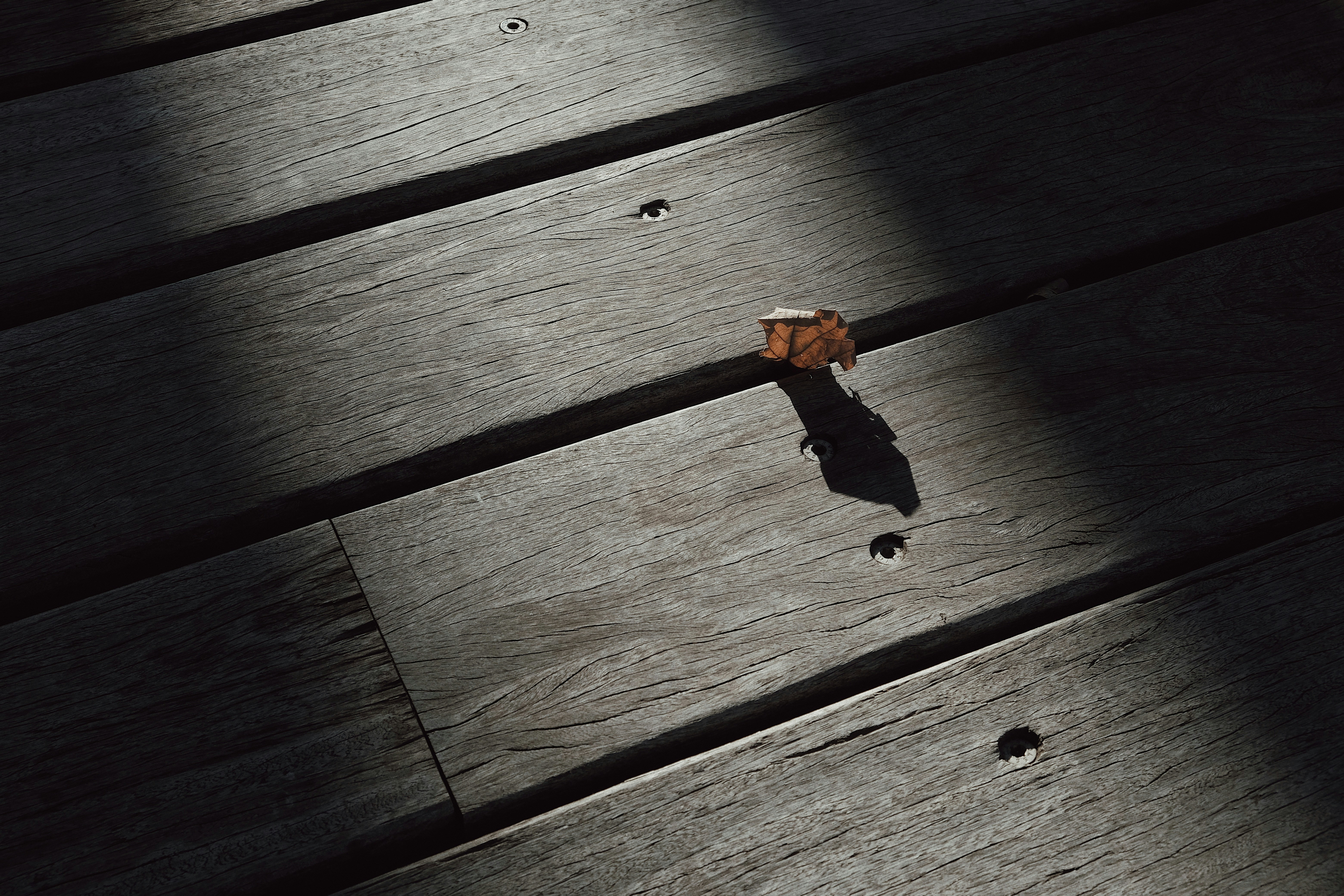 A single fallen leaf rests on wooden planks.
