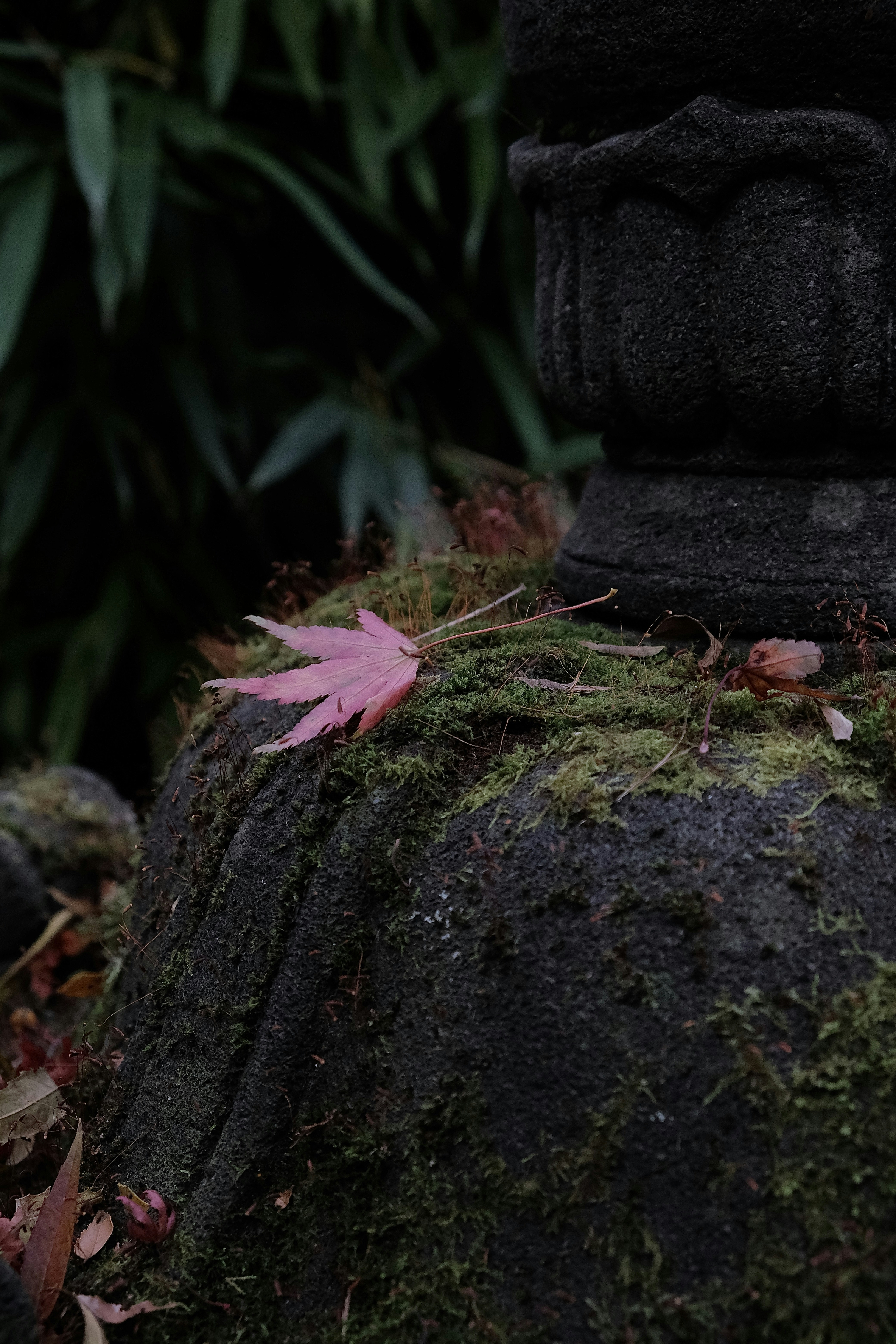Pink maple leaf rests on mossy stone lantern.
