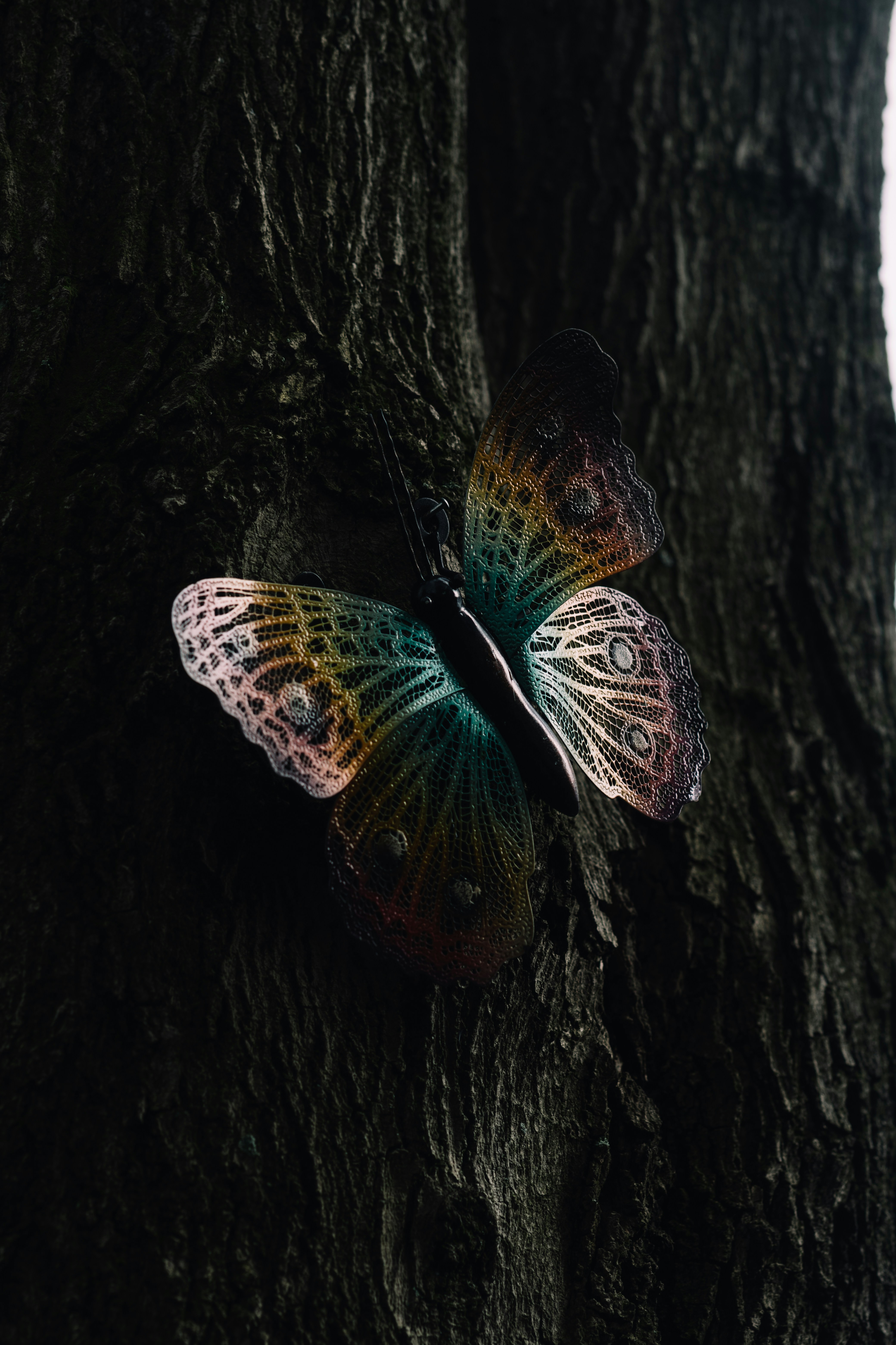 Nature's Delicate Artistry: The Butterfly's Embrace