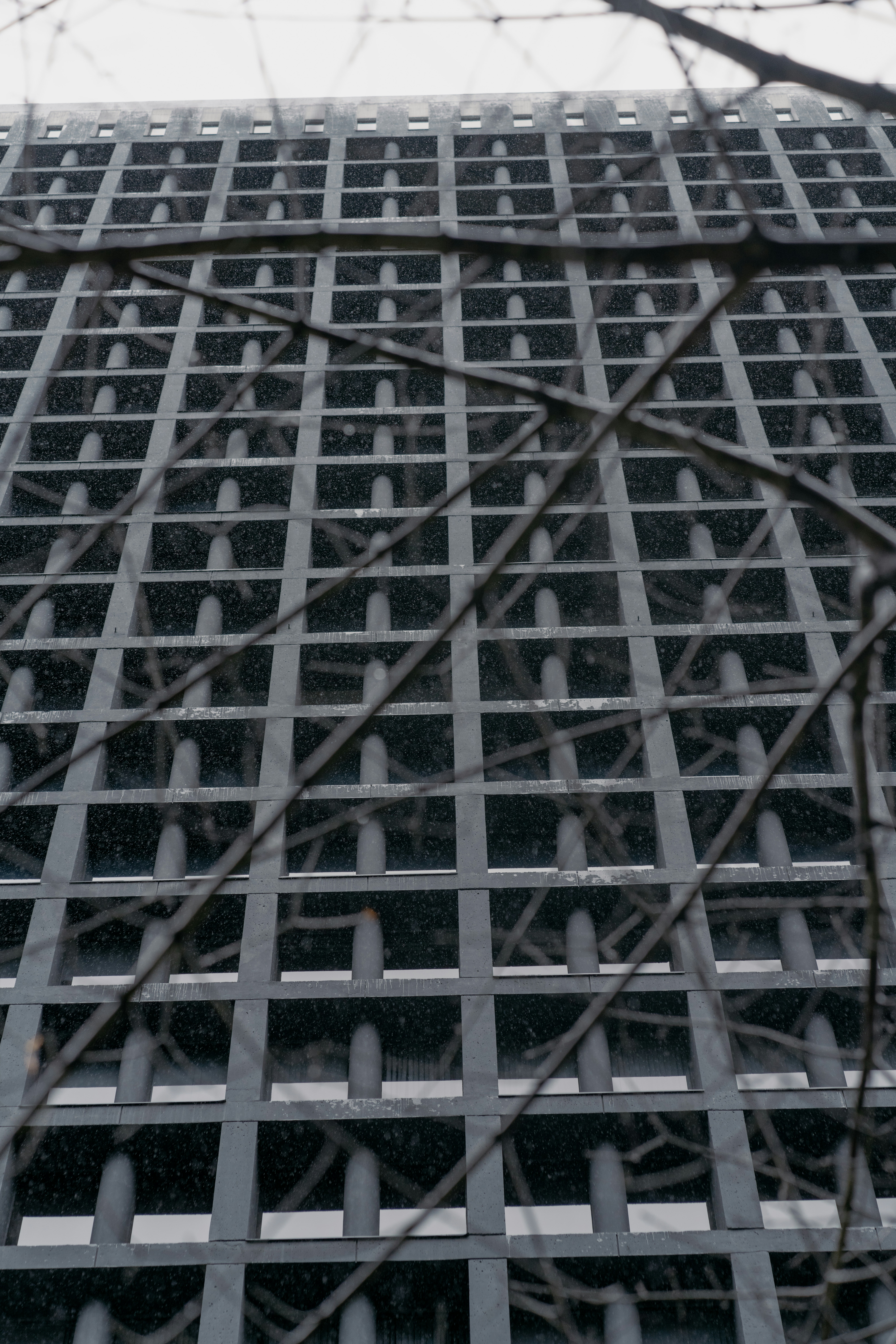 Architectural facade viewed through a tangle of bare branches, emphasizing the interplay of nature and modern design.