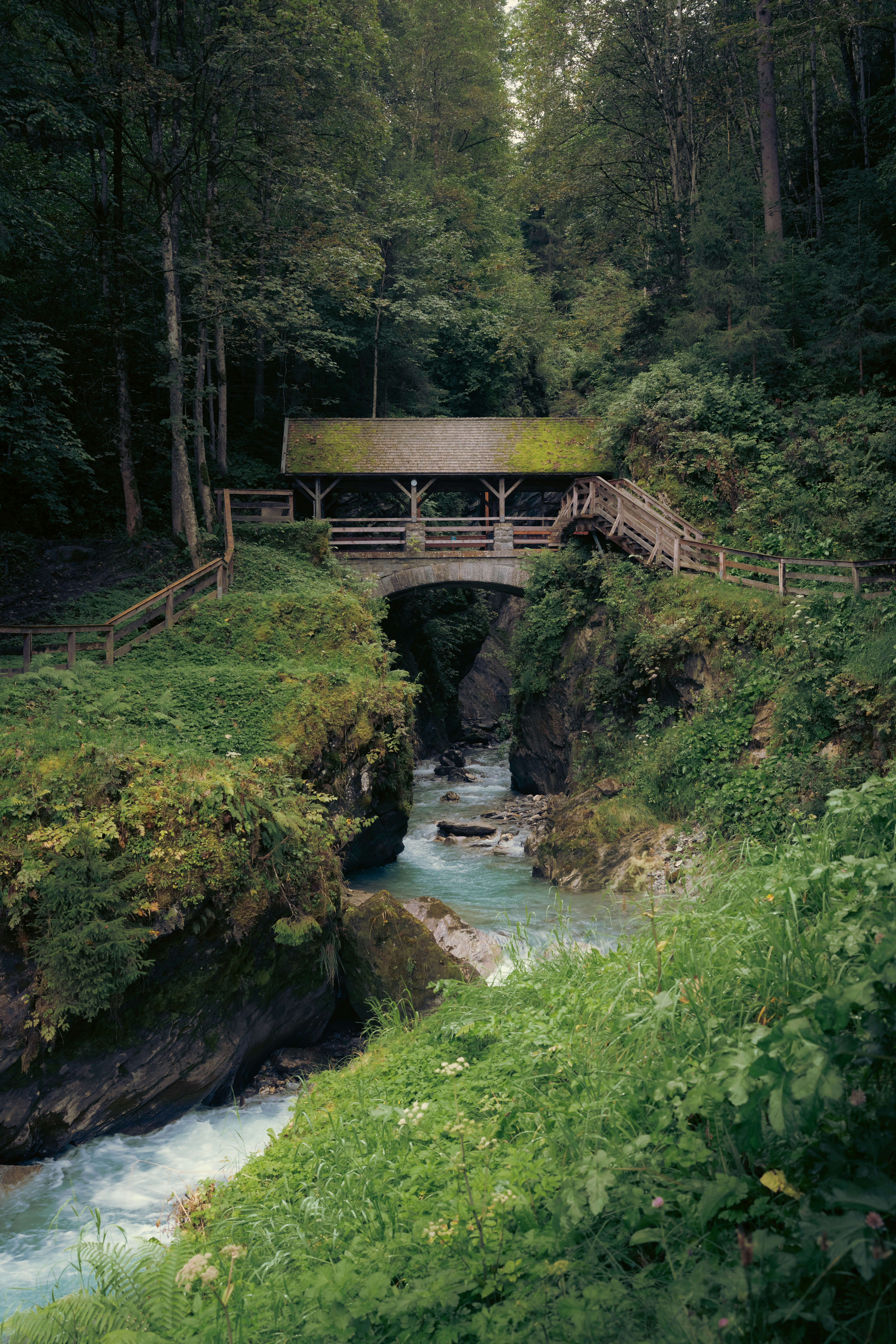 Whispers of Nature: The Tranquil Bridge