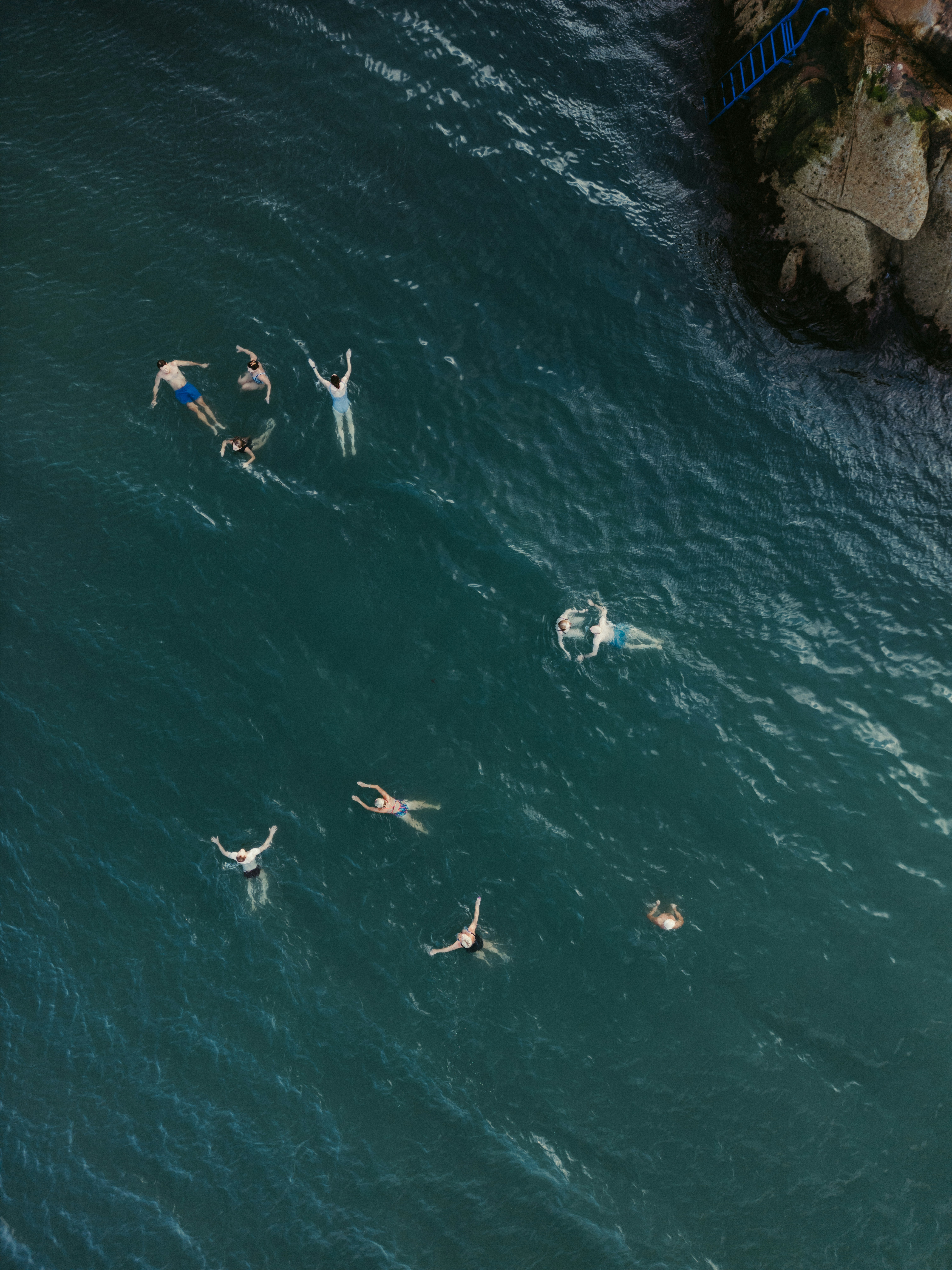 Harmony in the Deep Blue