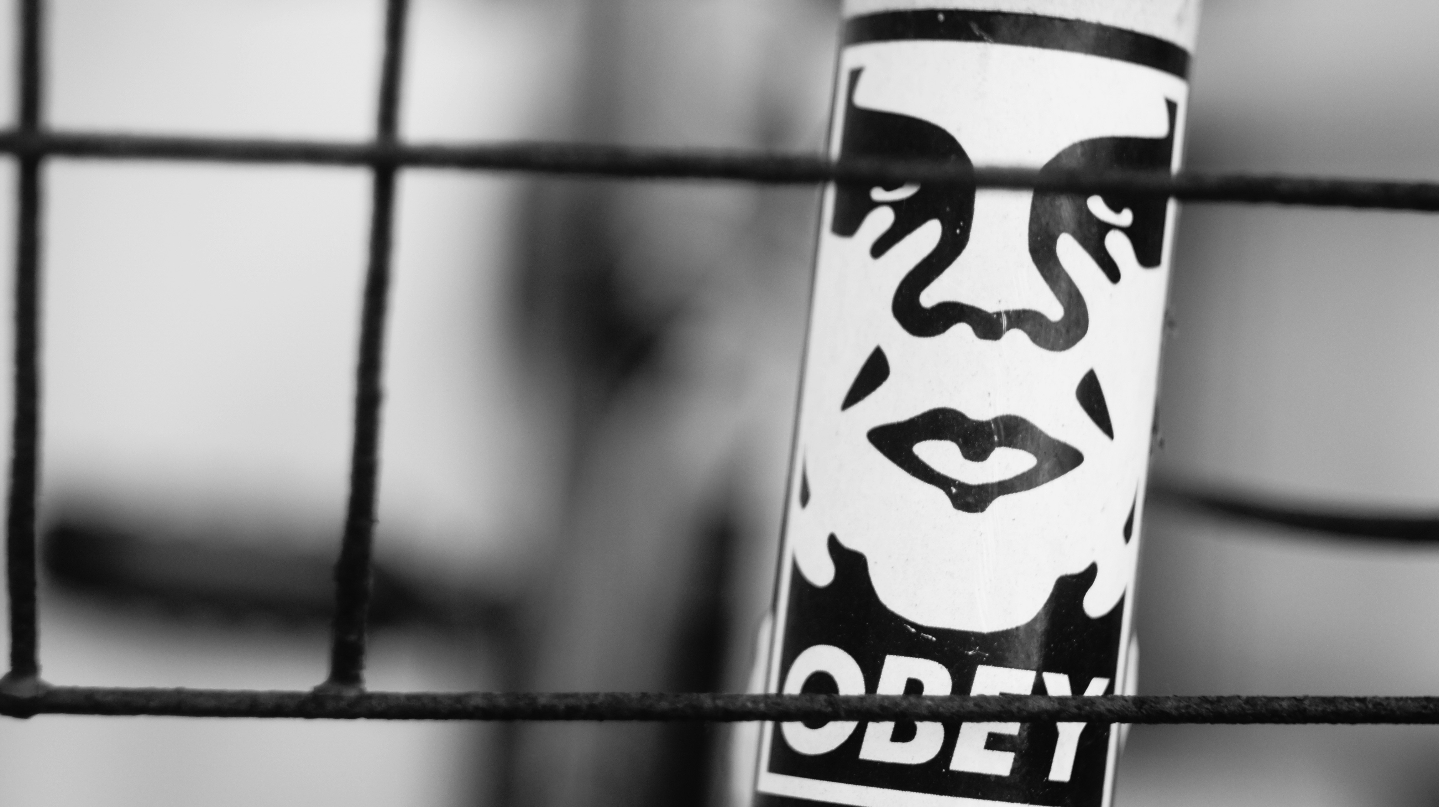 Gated Gaze: The Obey Sticker Peering Through Iron Bars