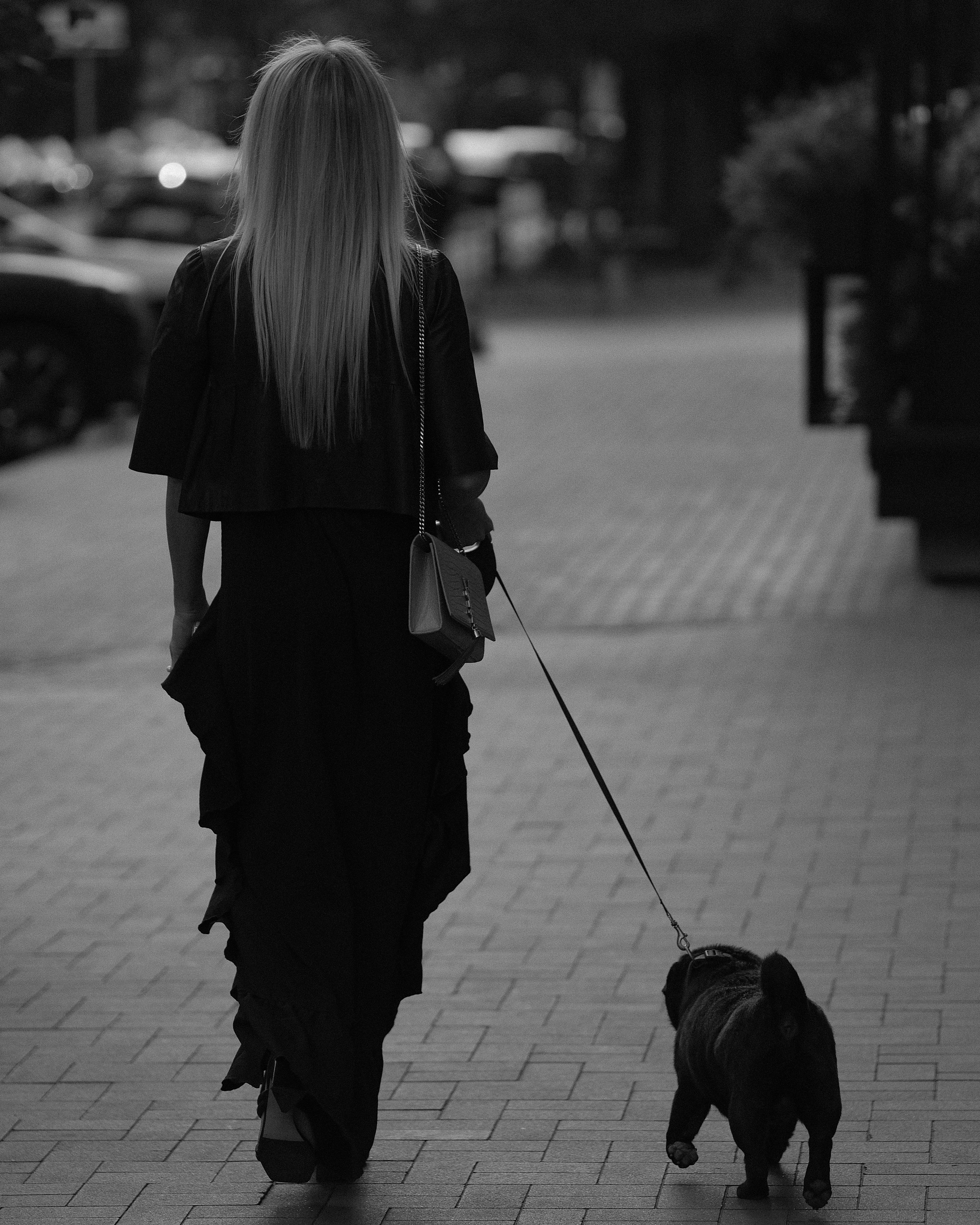 Elegance in Motion: A Stroll with Style