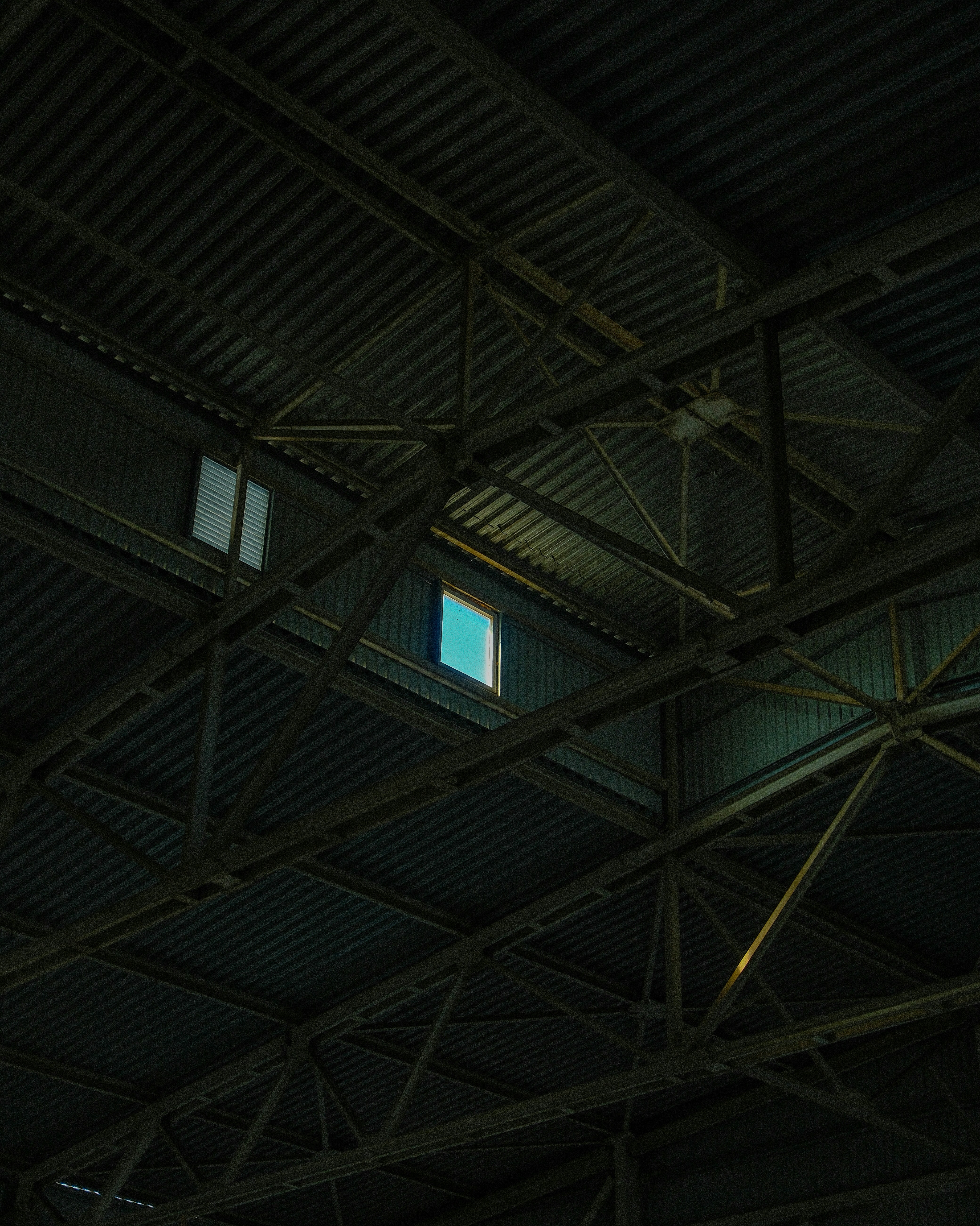 Illuminated Perspectives: A Glimpse Through the Industrial Canopy