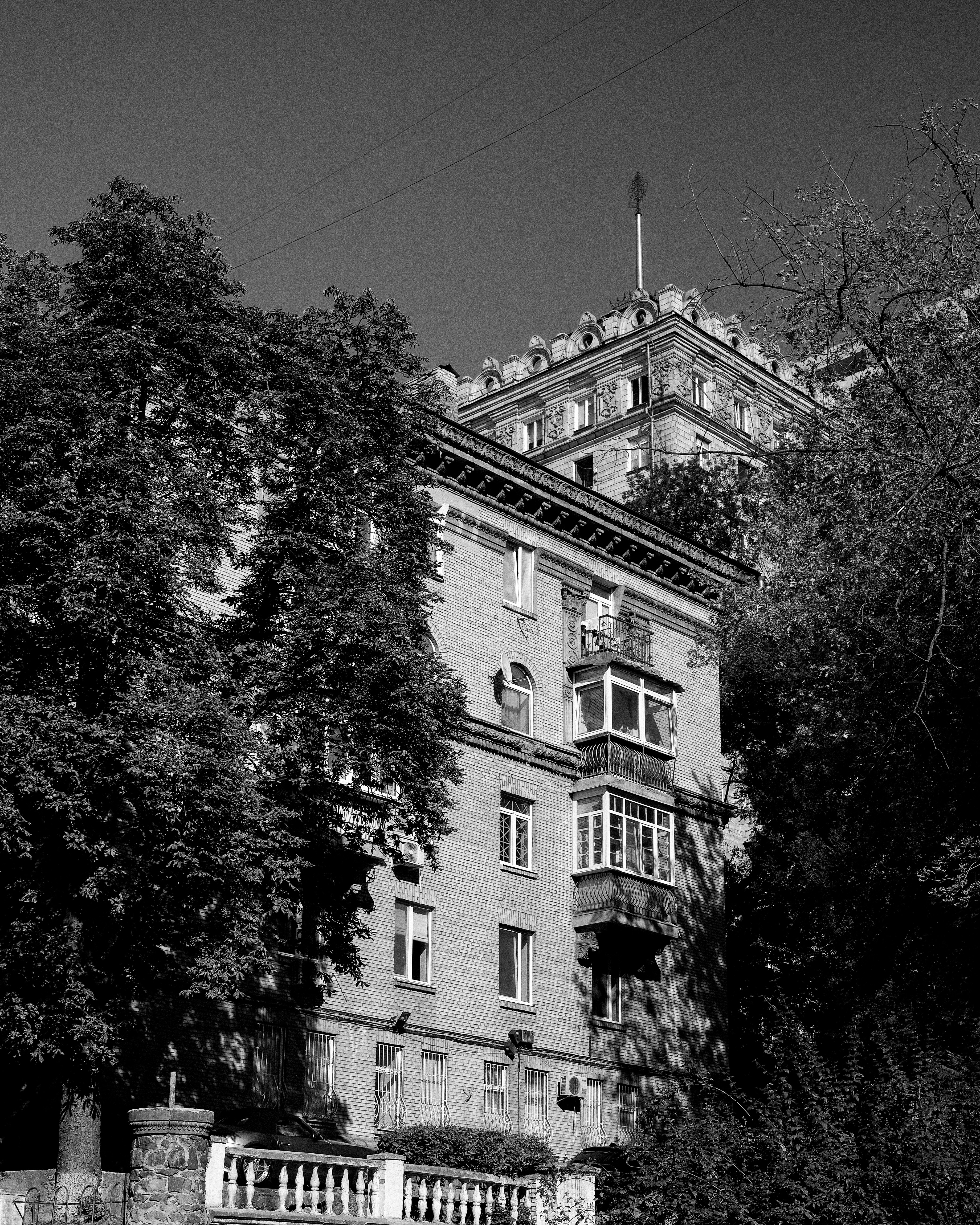 Historic building surrounded by lush trees, showcasing a blend of urban architecture and nature. The scene is presented in monochrome for dramatic effect.