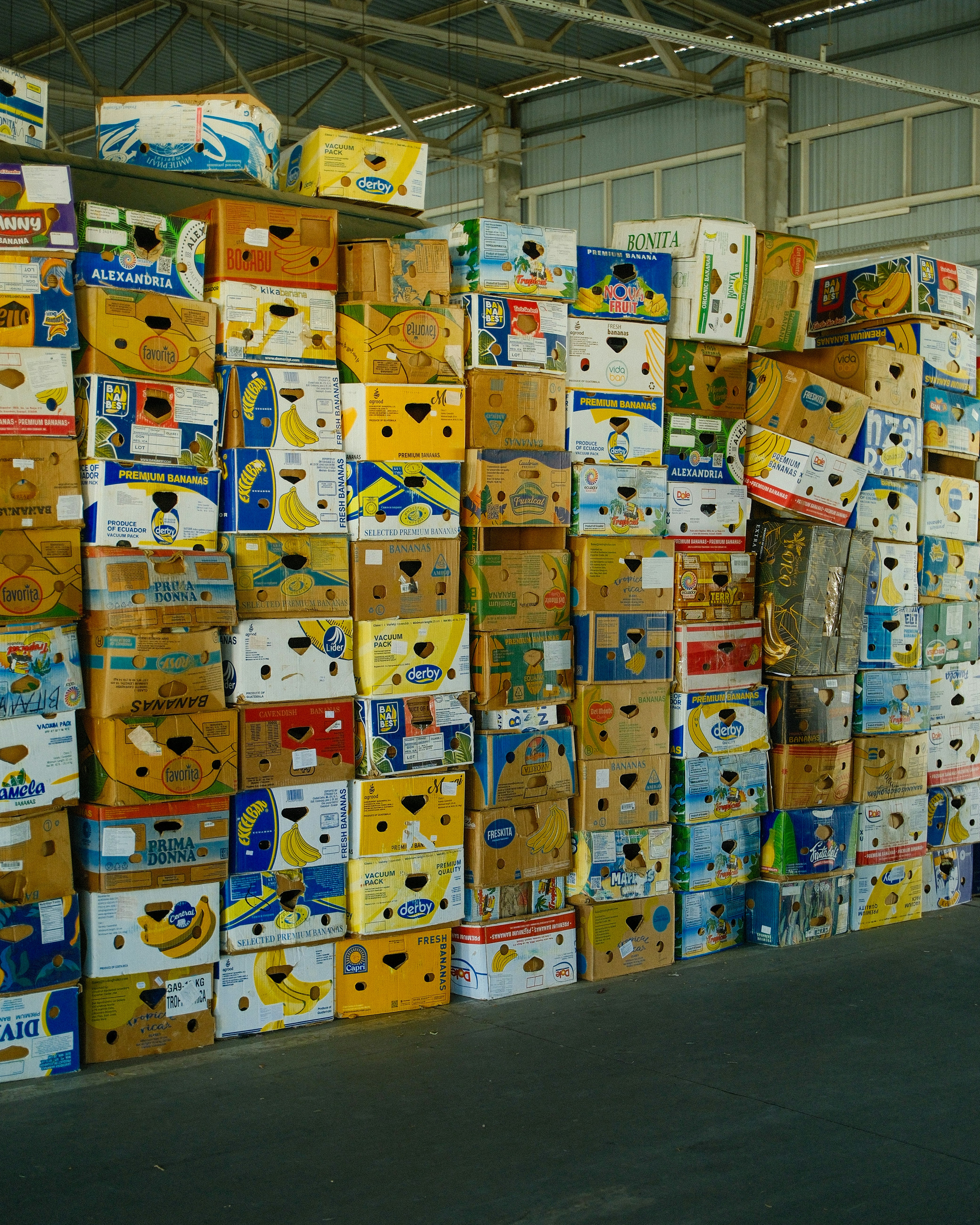 Stacks of cardboard boxes filled with bananas