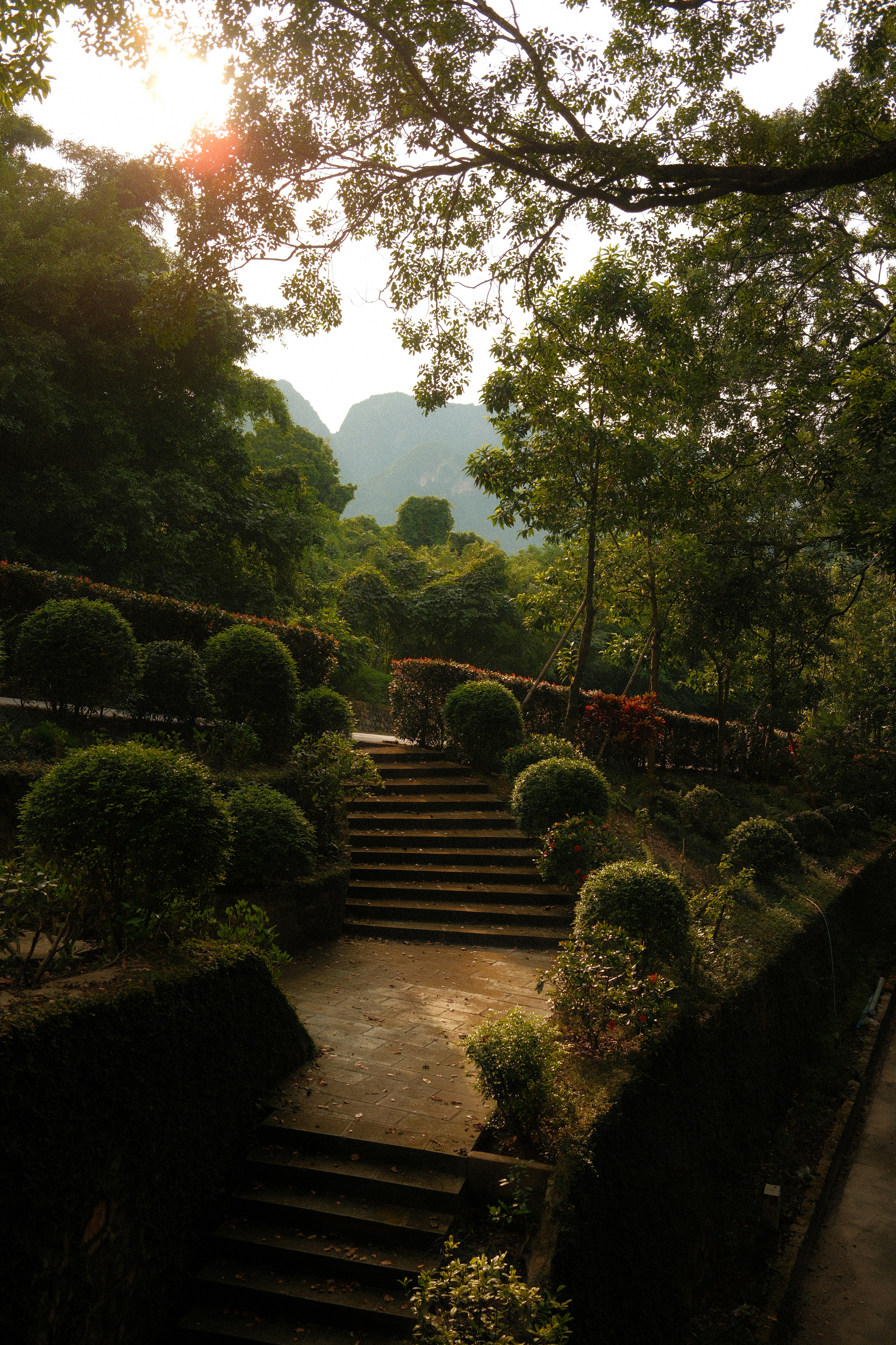 Whispers of Nature: A Serene Ascent