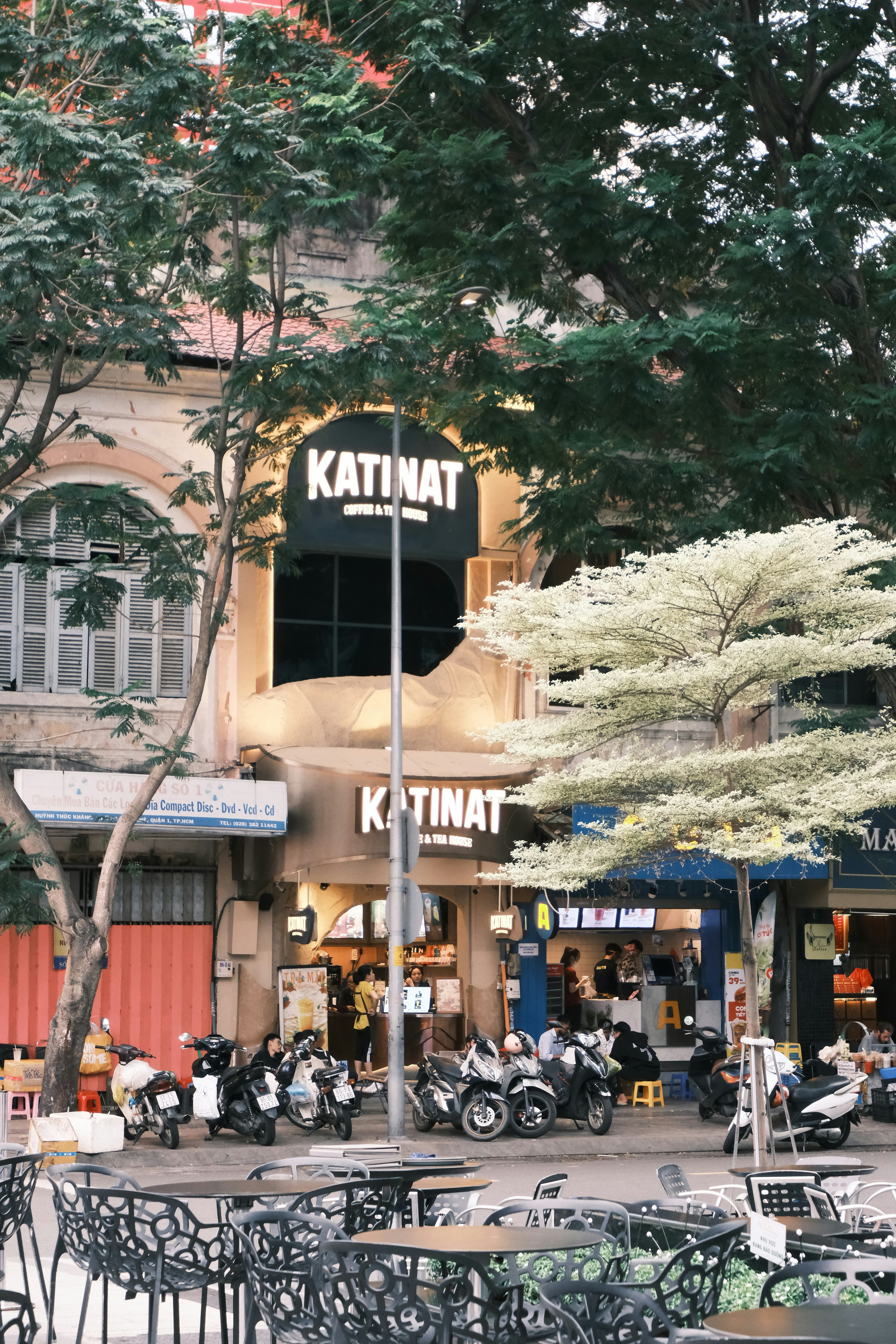 Urban Oasis: A Café Amidst the Bustle
