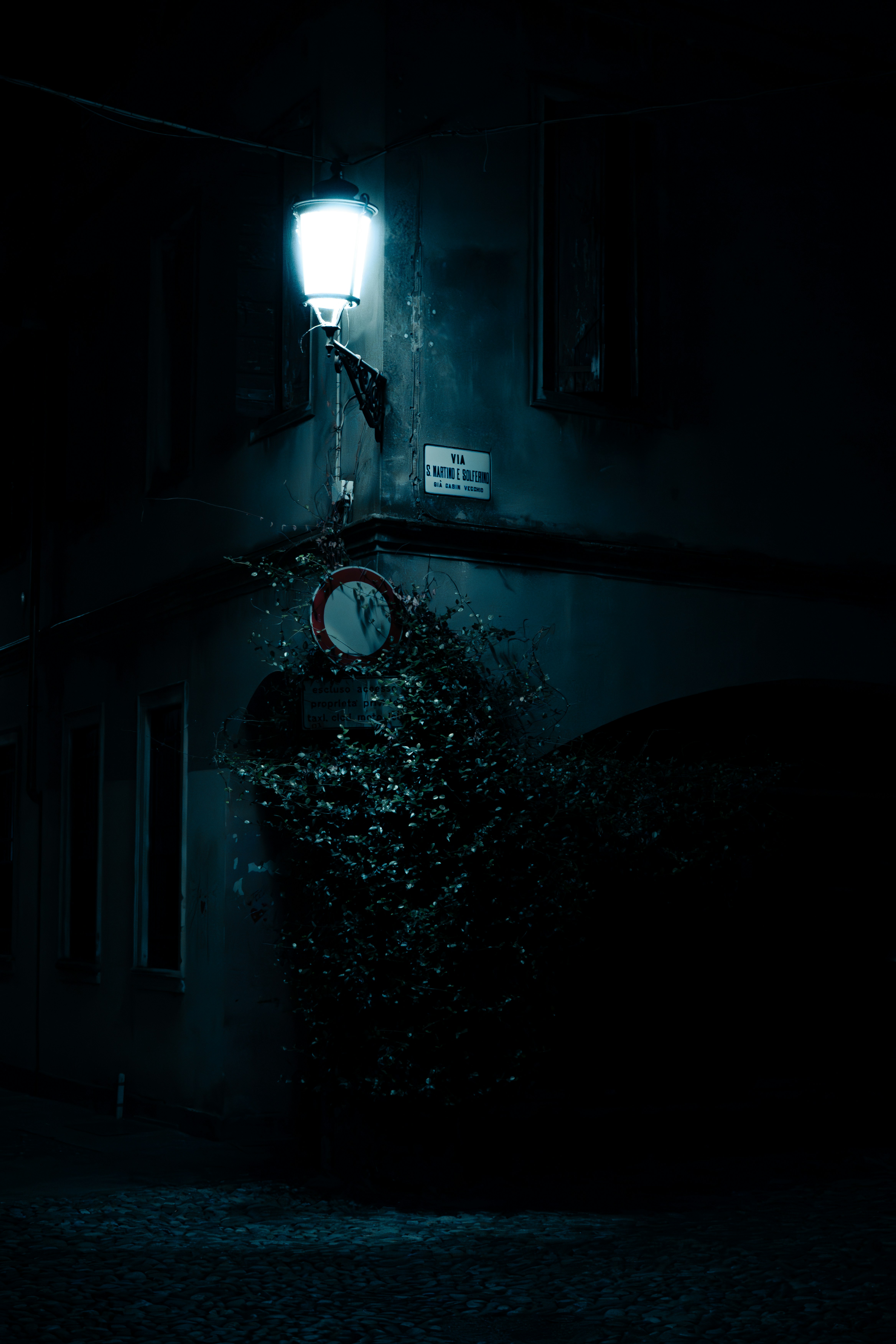 Street lamp illuminates overgrown ivy at night