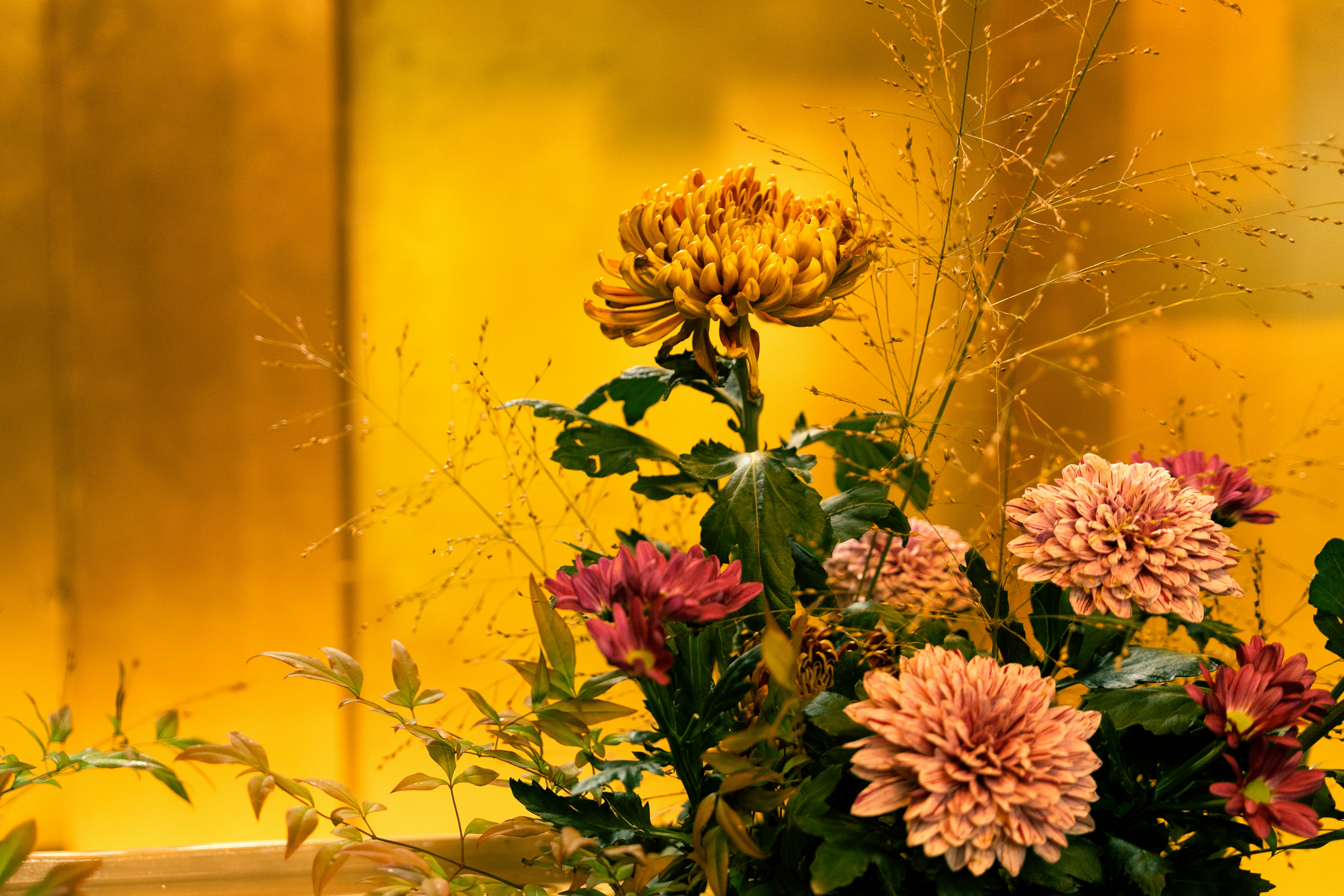 Golden Harmony: A Floral Symphony