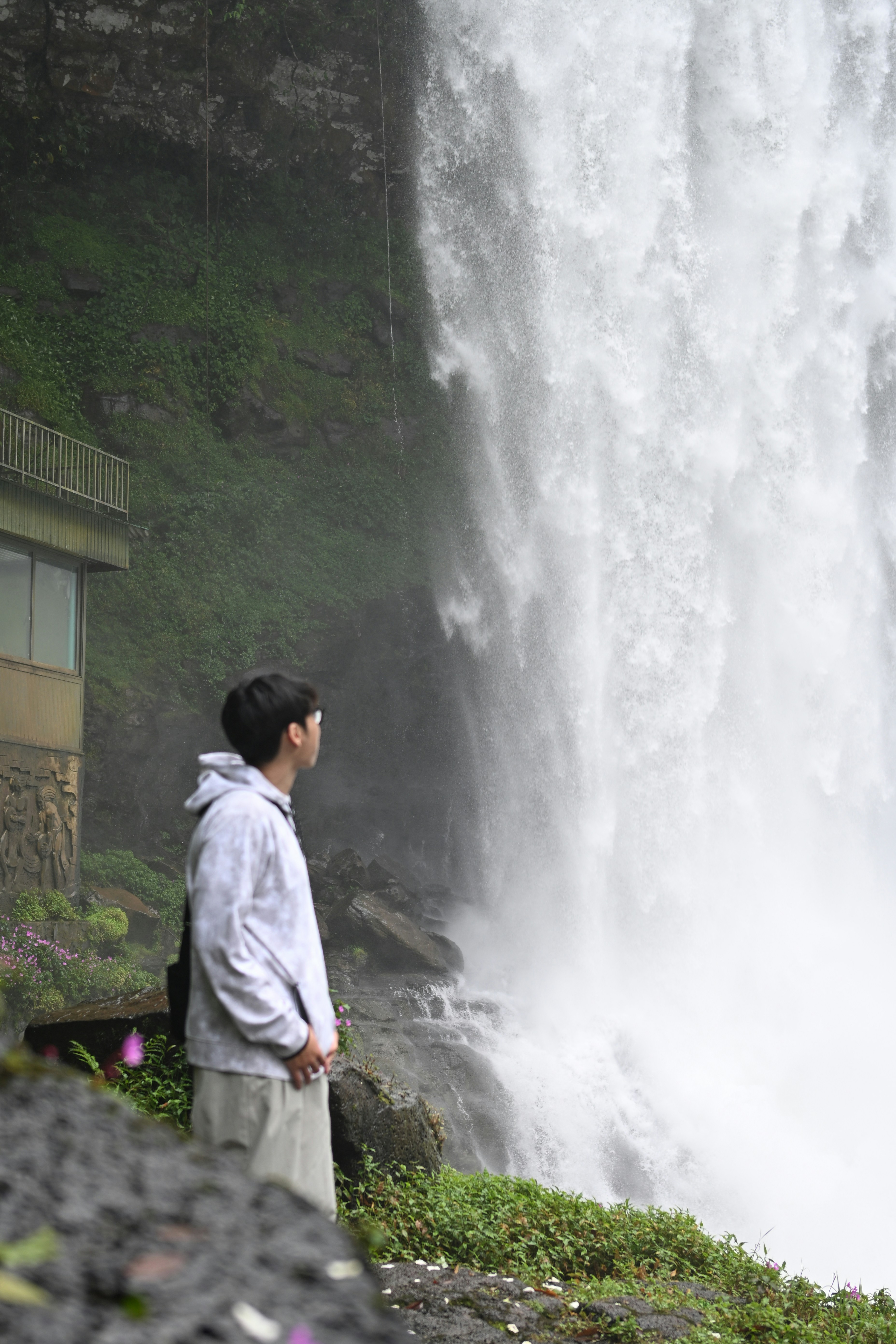 Whispers of the Waterfall