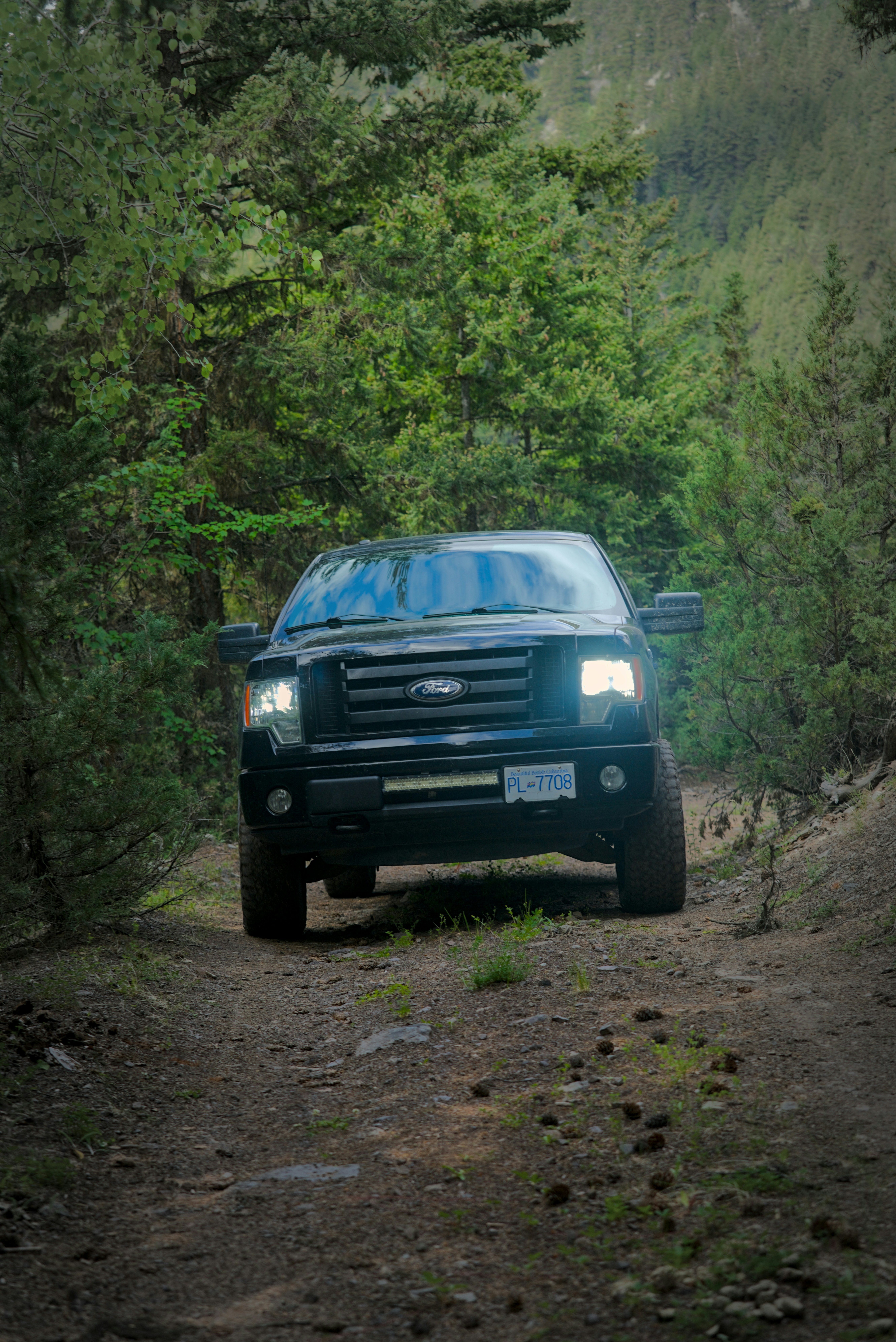 Navigating the Untamed Trail