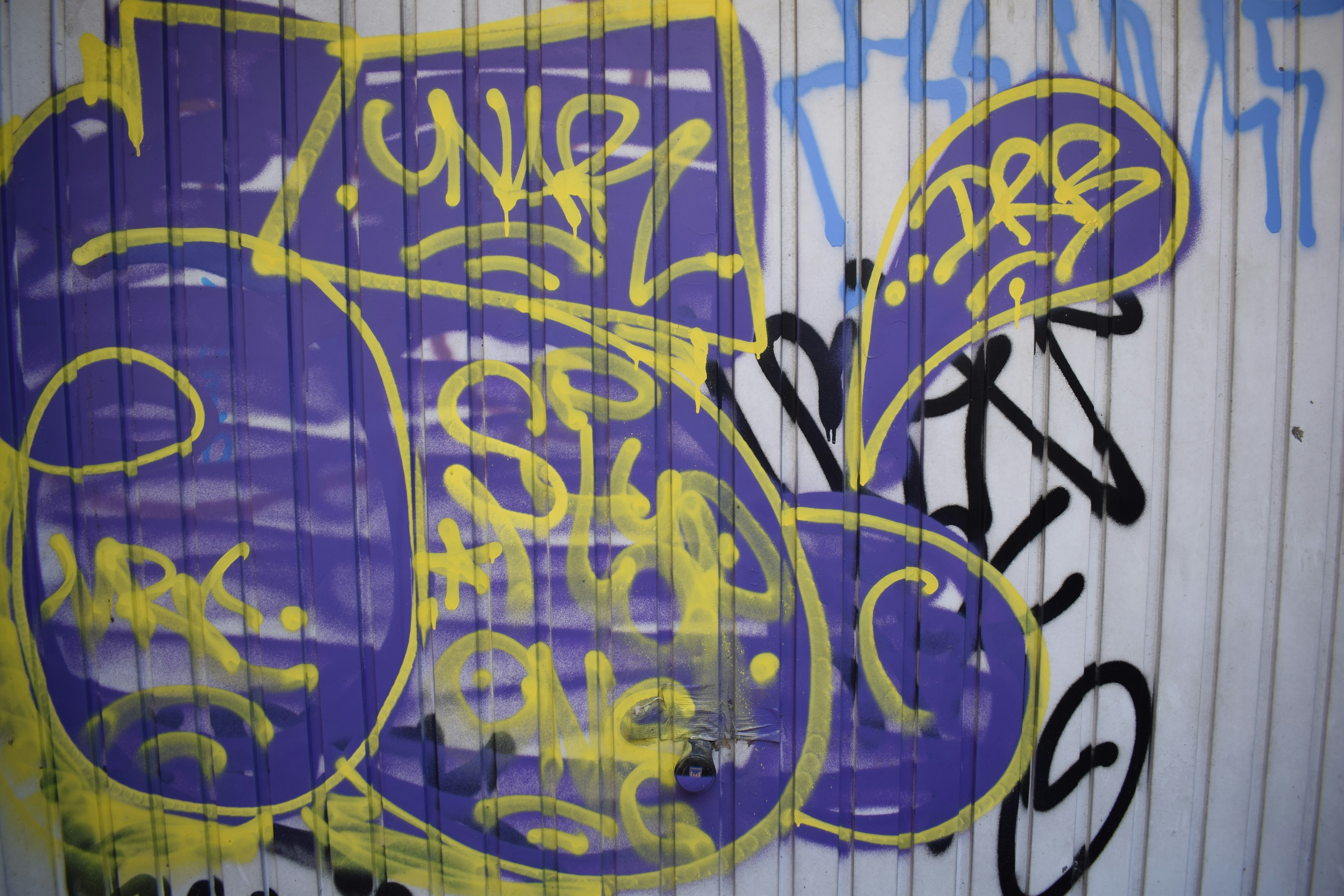Urban Expressions: A Symphony of Color and Chaos