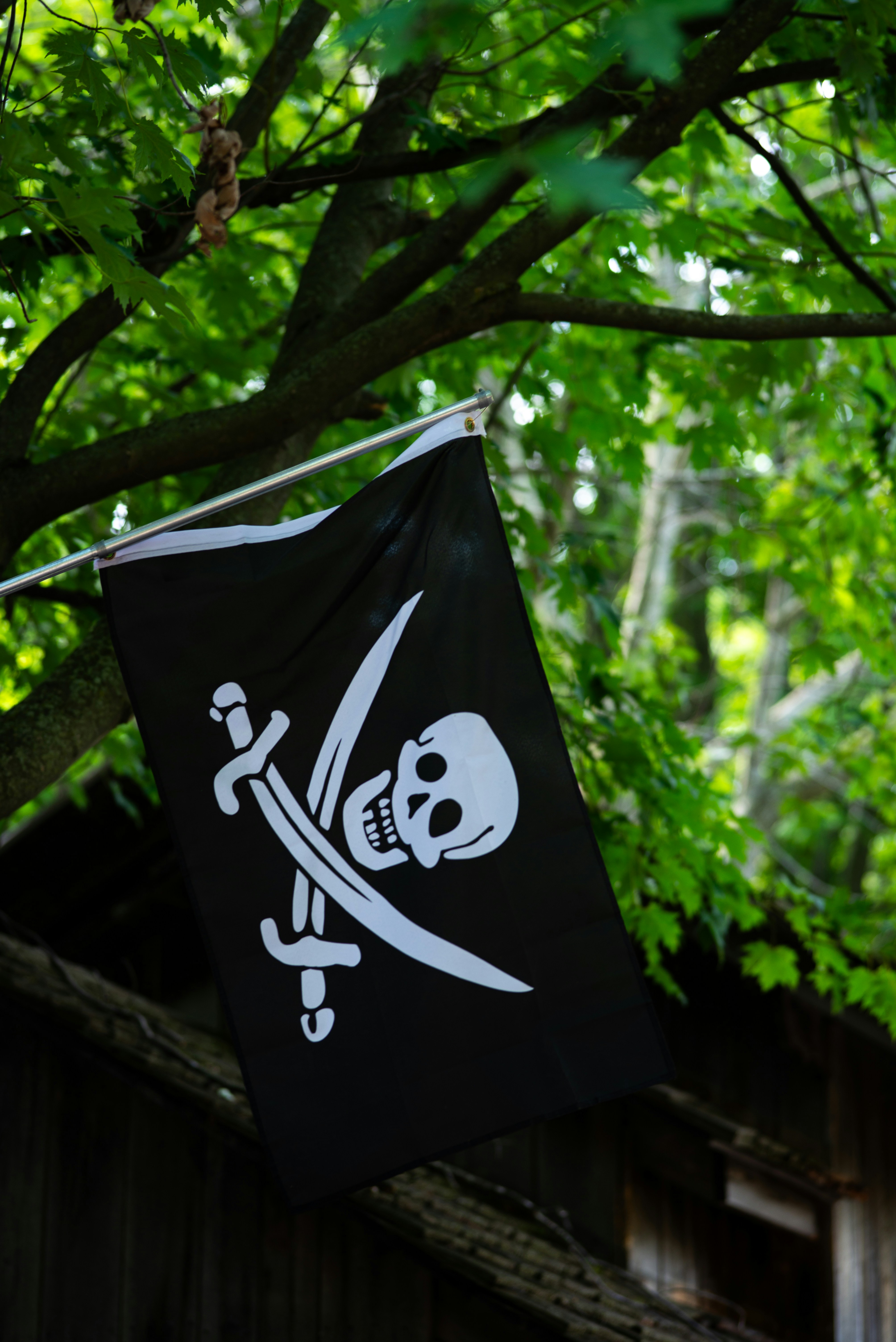 A Jolly Roger Beneath the Canopy