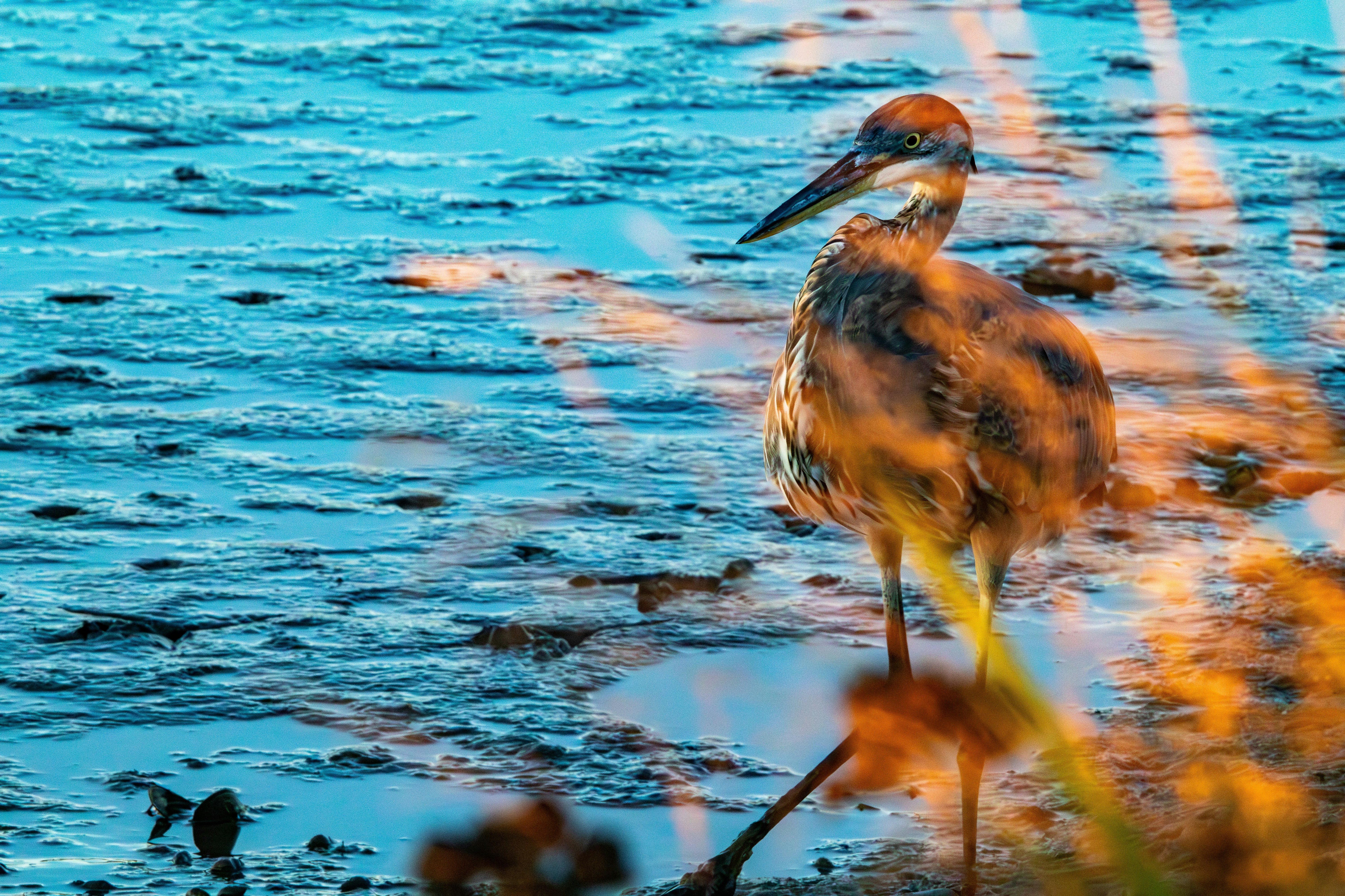 A heron stands gracefully in shallow waters, surrounded by vibrant foliage and shimmering reflections. The scene captures the tranquility of nature.