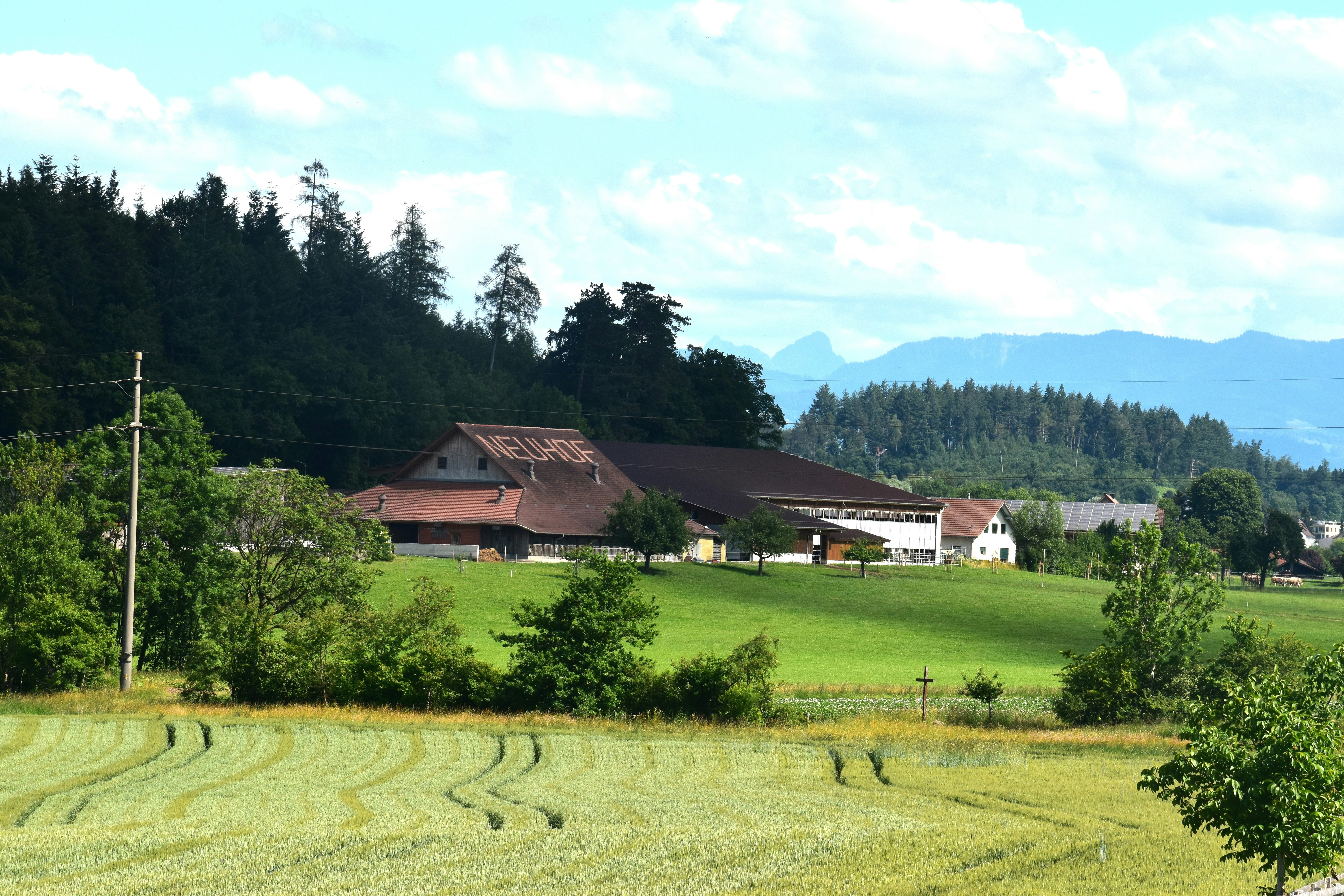 Serenity in the Heart of the Countryside