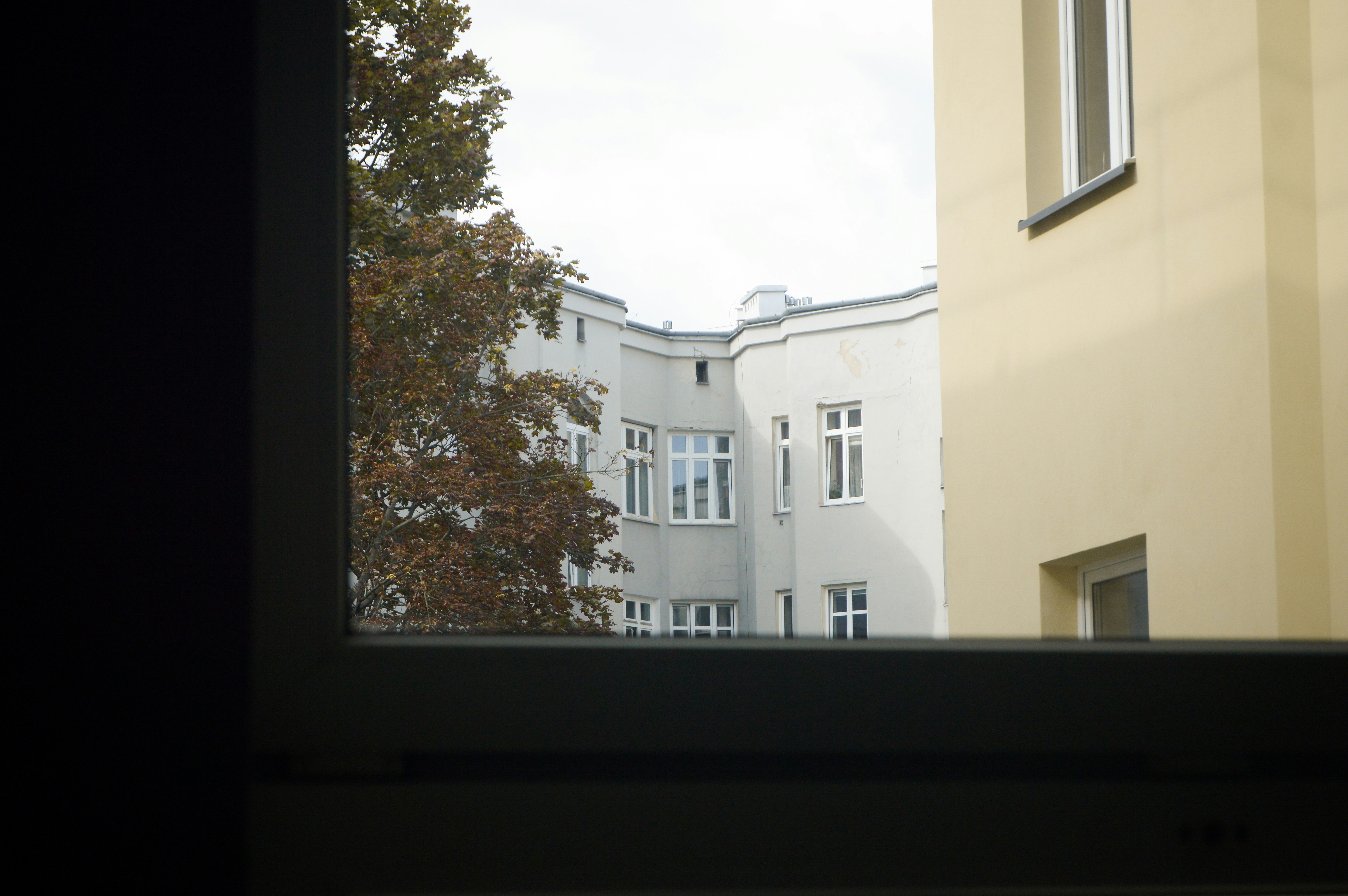 View of buildings through a window frame.