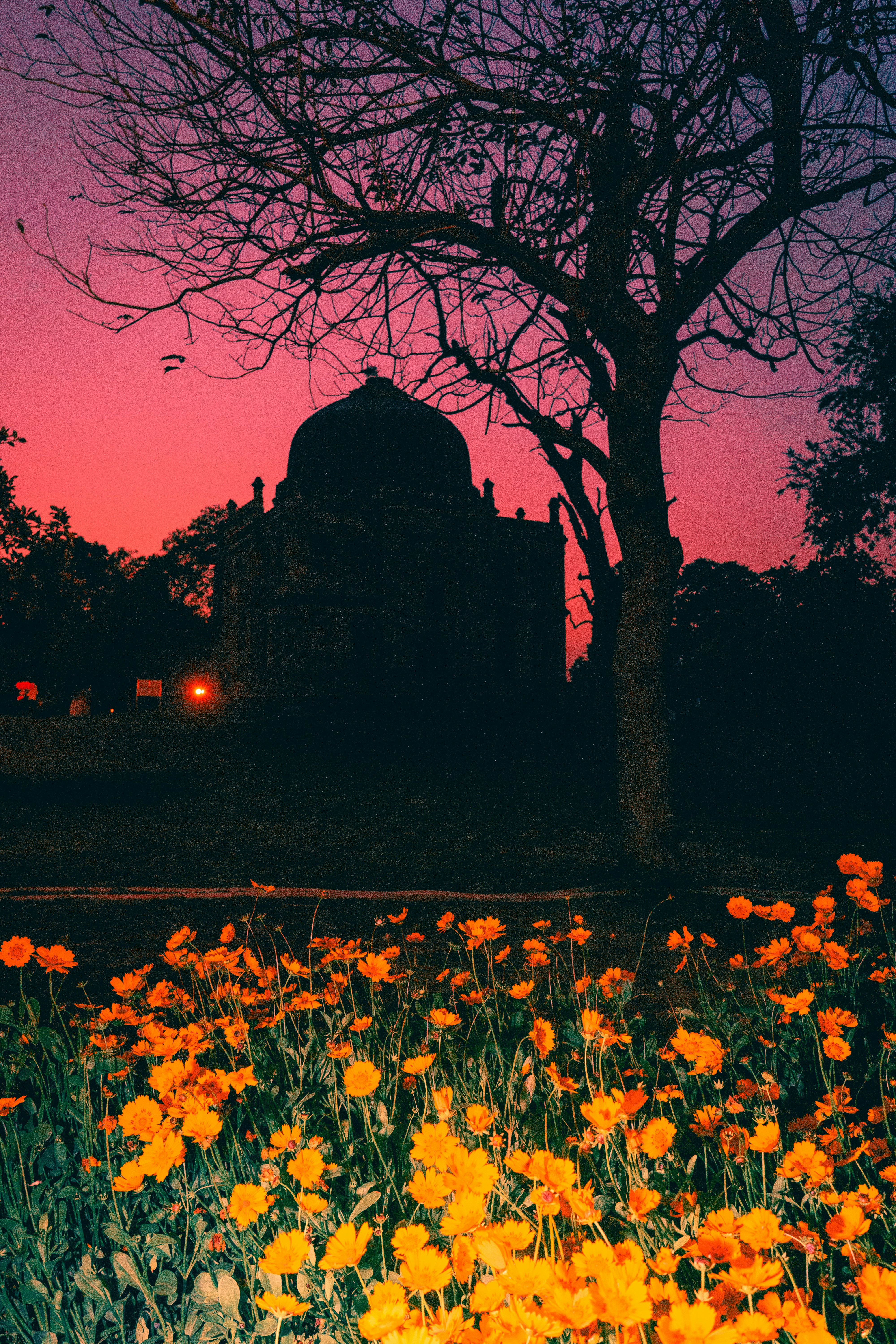 Whispers of Time Beneath a Twilight Sky