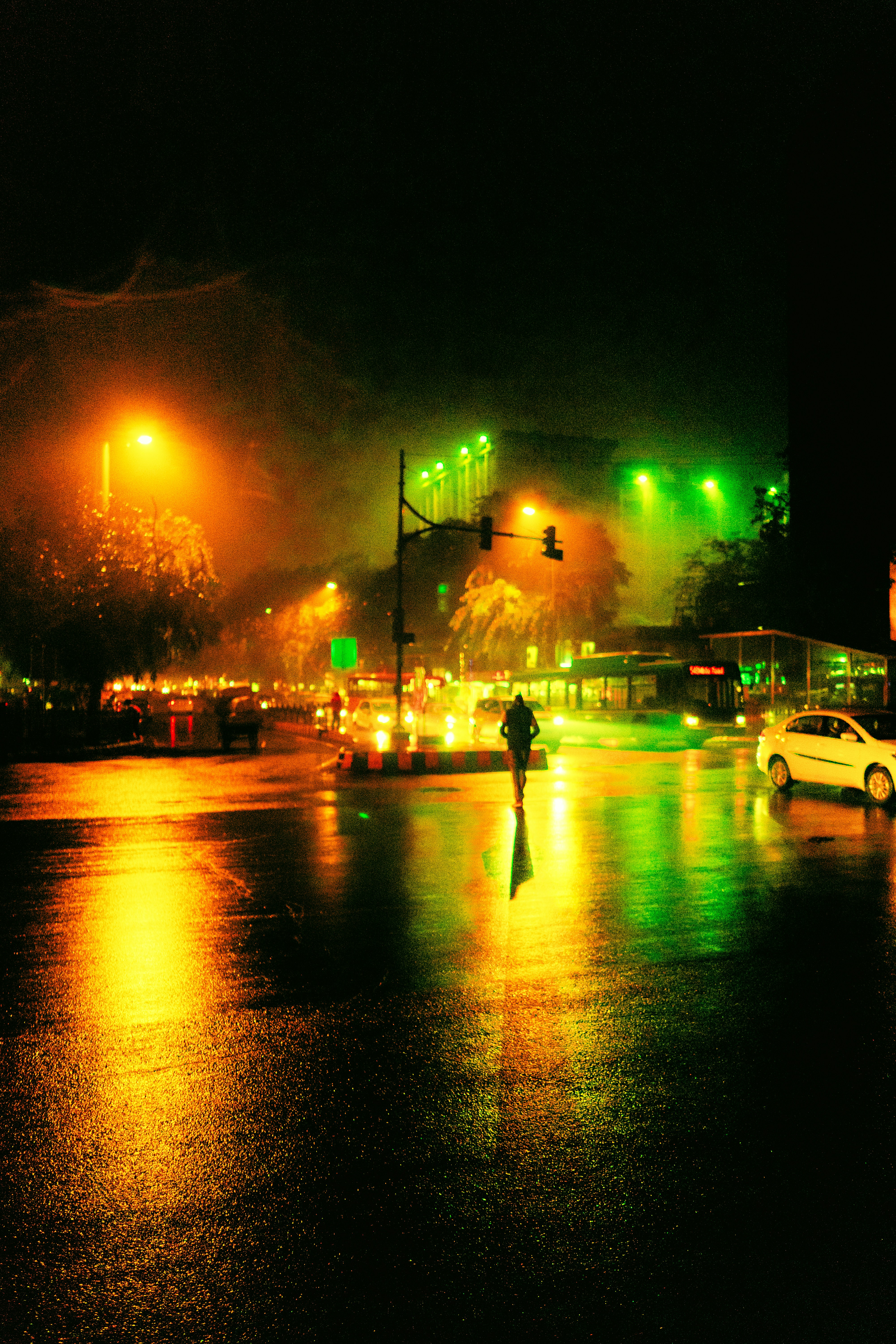 Neon Reflections: A Solitary Stroll in the Rain