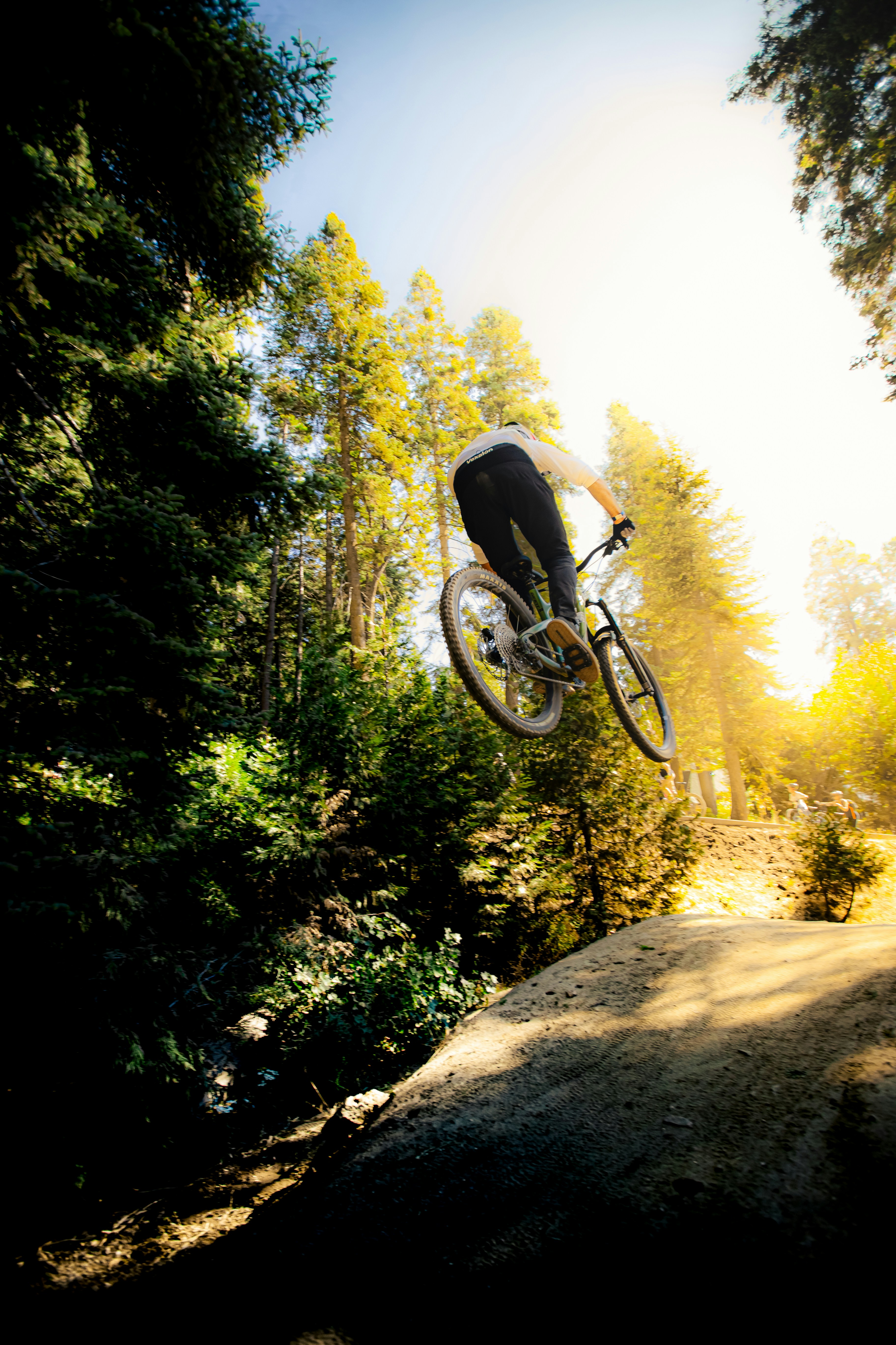 Mountain biker performing an aerial jump over a dirt ramp in a sunlit forest, surrounded by lush greenery.