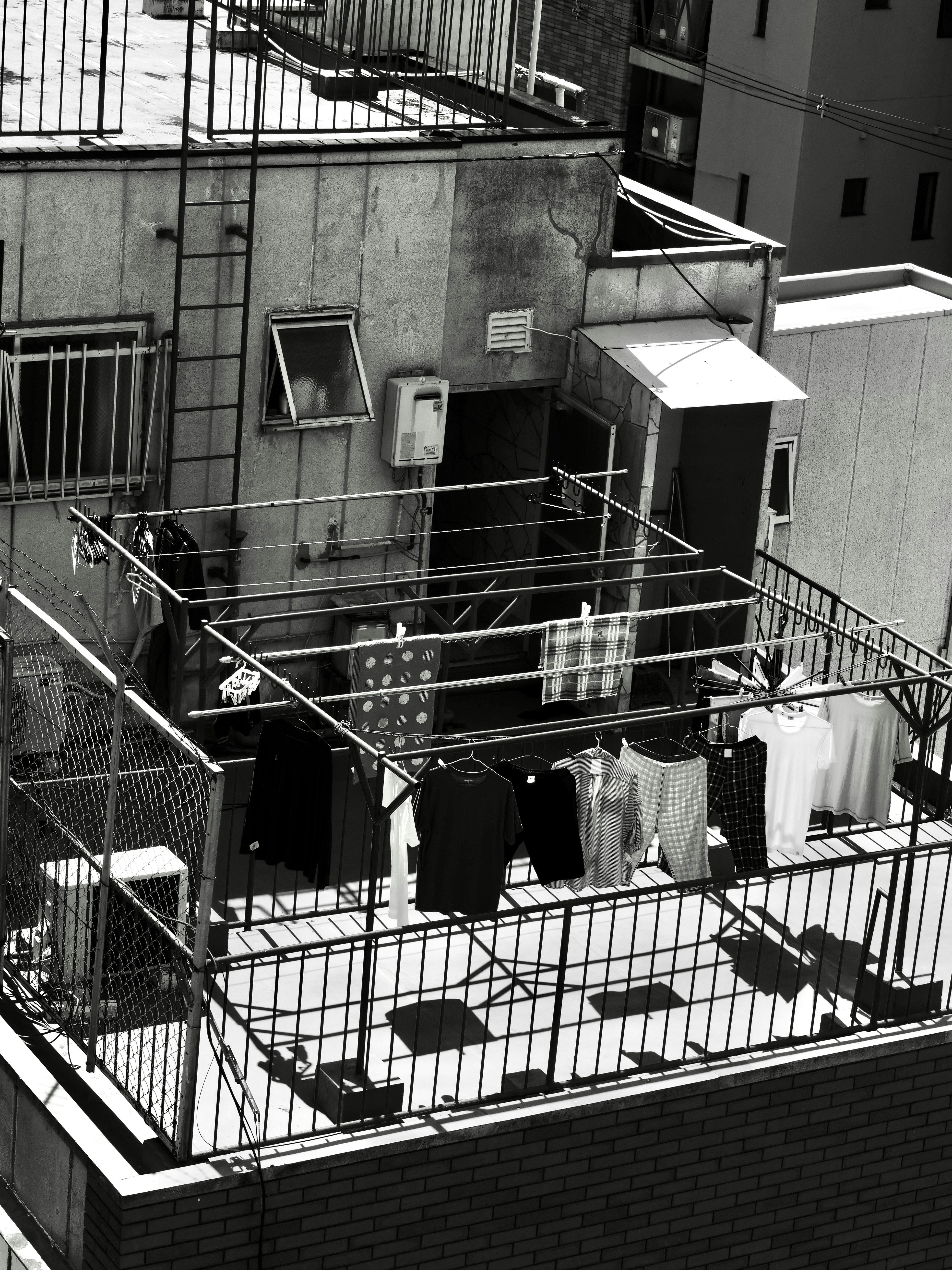 Urban Laundry: A Rooftop Story