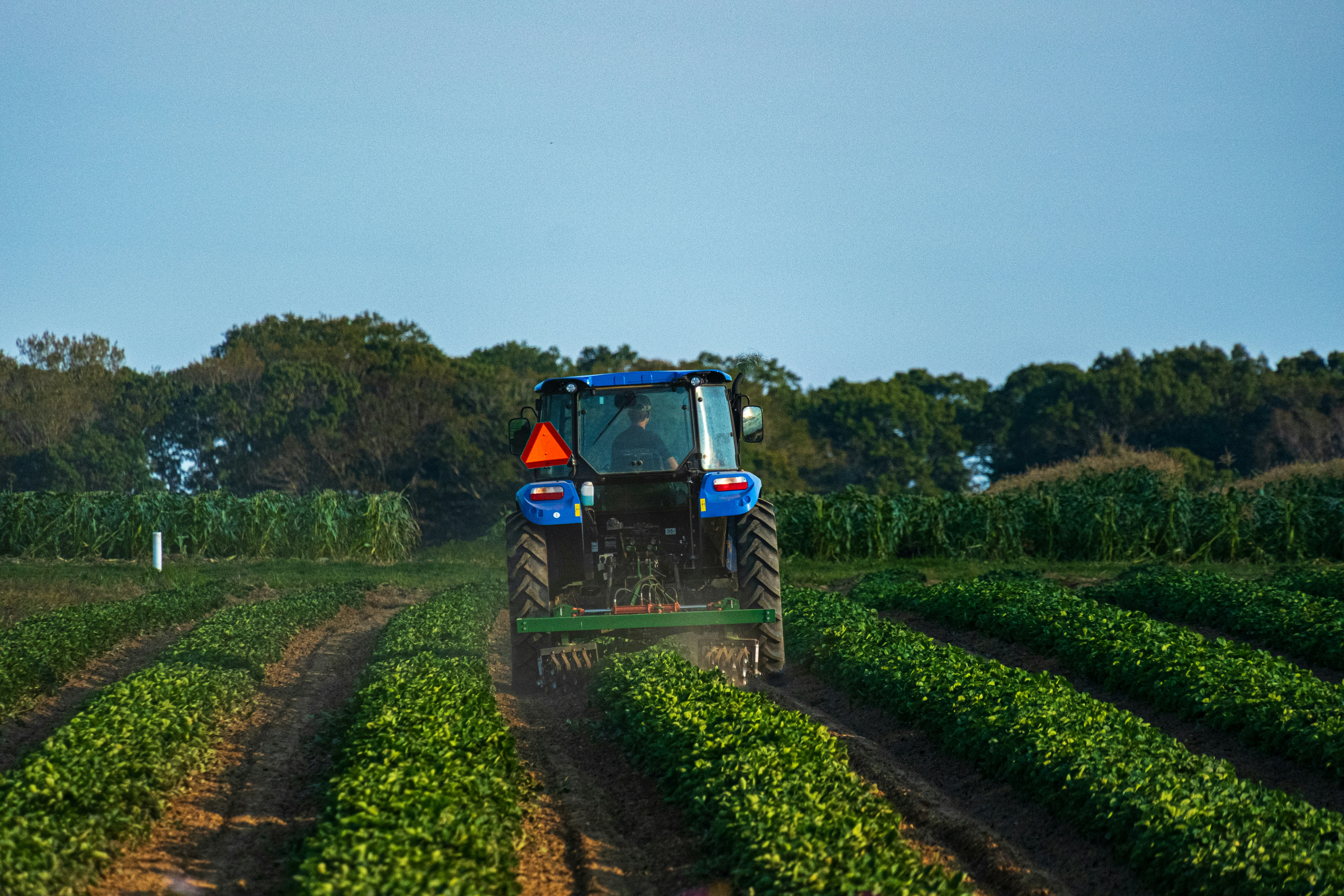 Harvesting Harmony: A Tractor's Journey Through the Fields