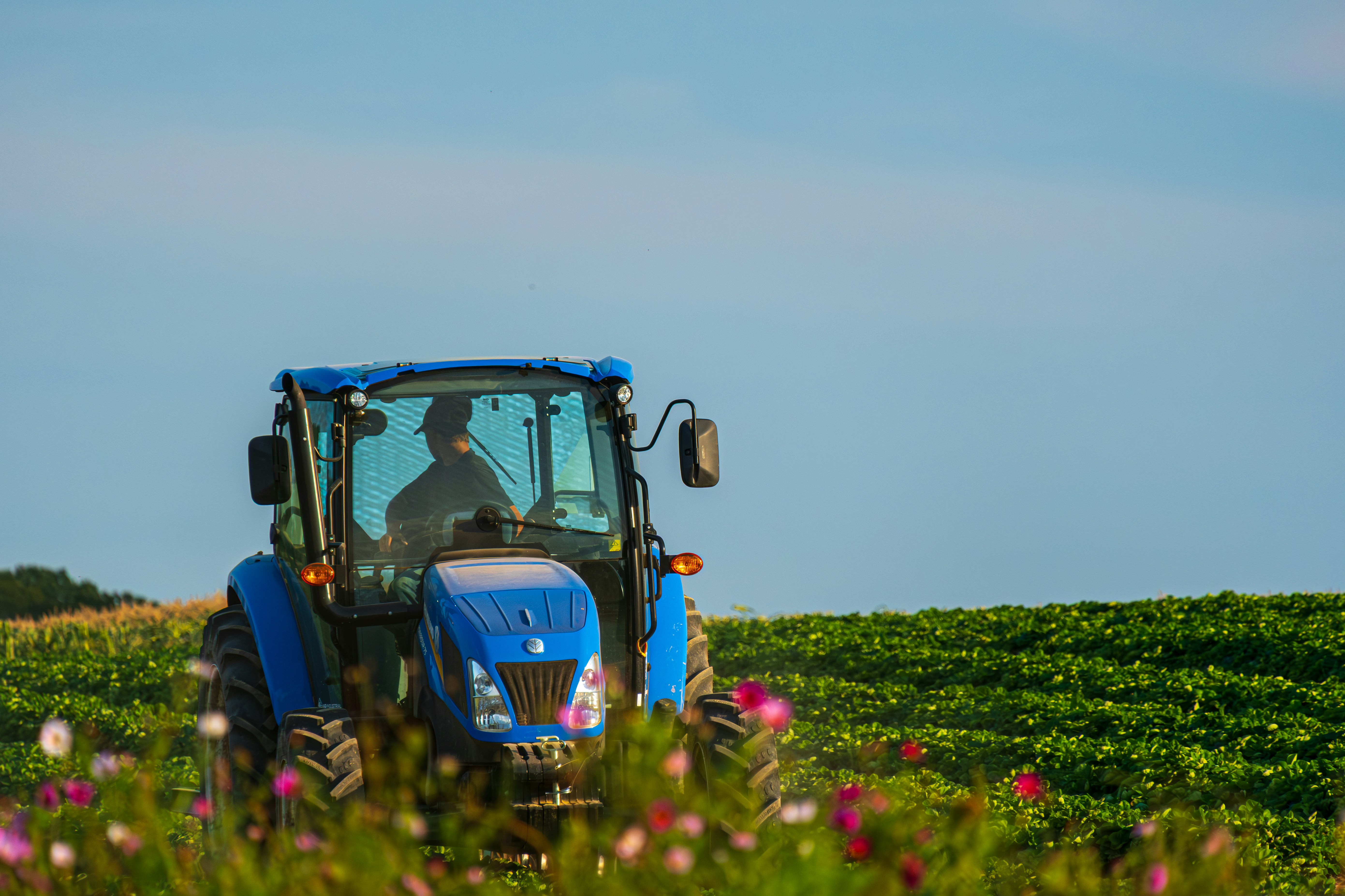 Harvesting Harmony: A Farmer's Journey Through Blossoms