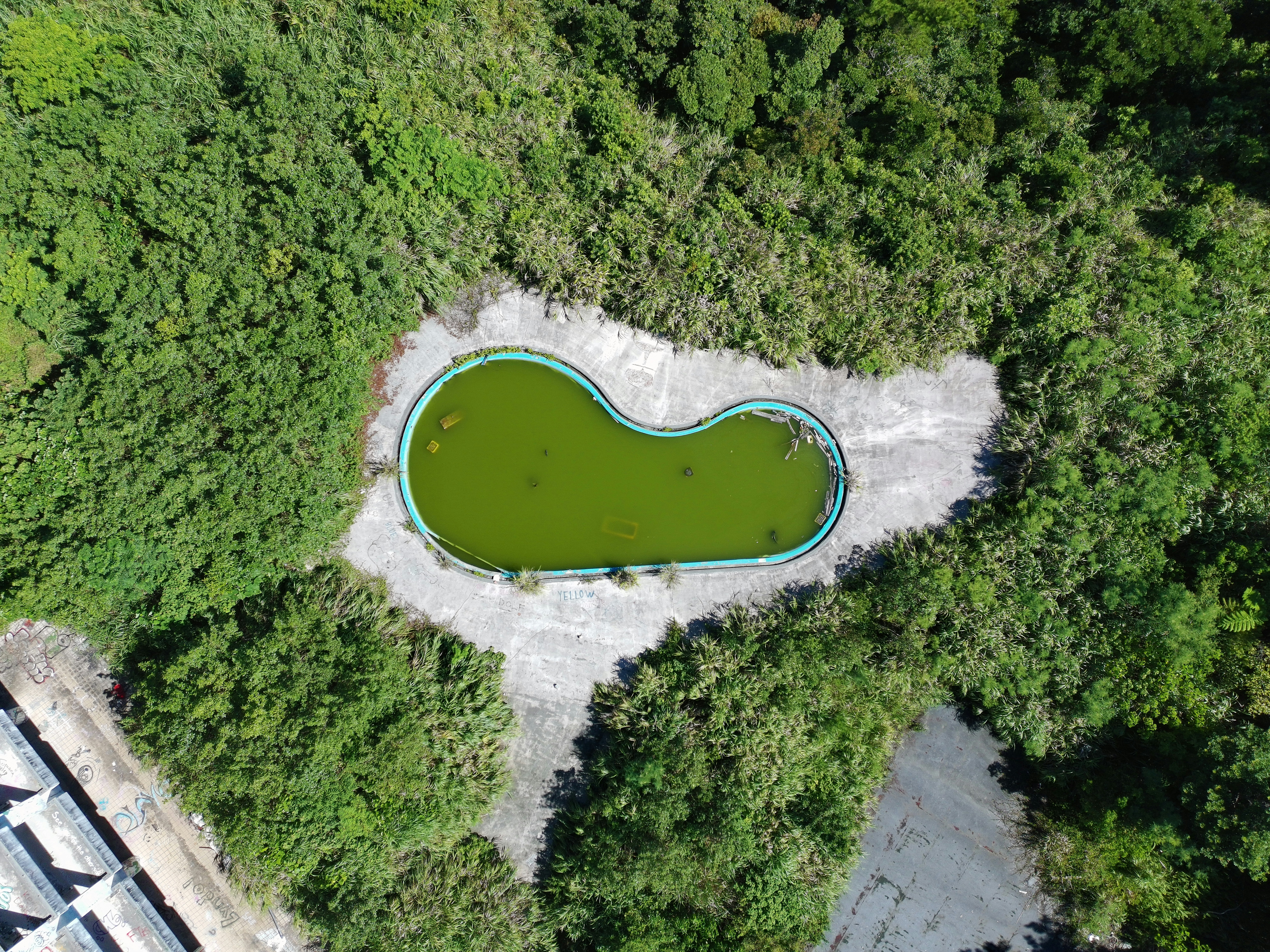 Aerial view of a green pond surrounded by dense foliage, showcasing the contrast between the vibrant water and the lush greenery. The area appears to be an abandoned site.