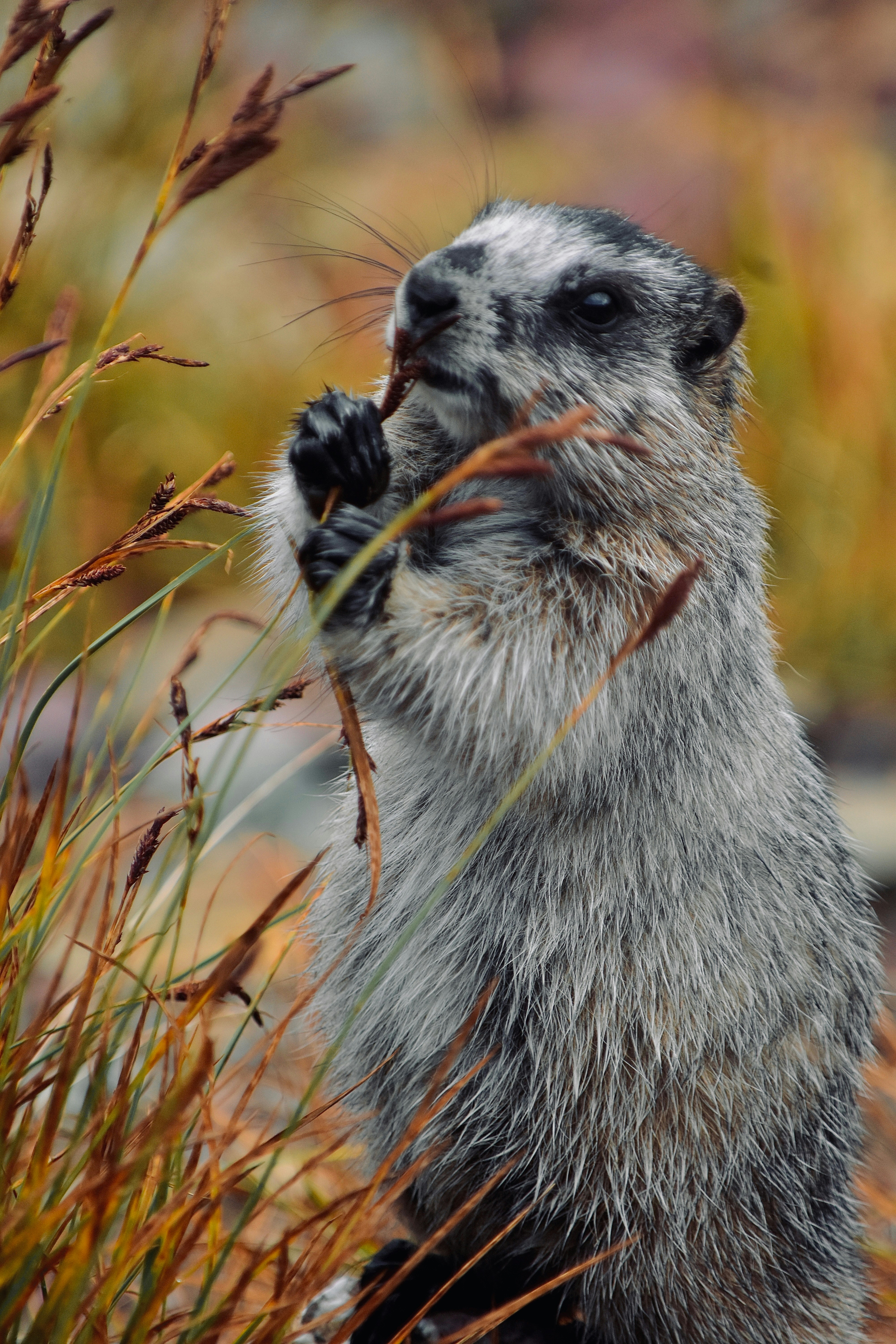 Payton Allen (@pj1999) | Comunidade de fotos da Unsplash