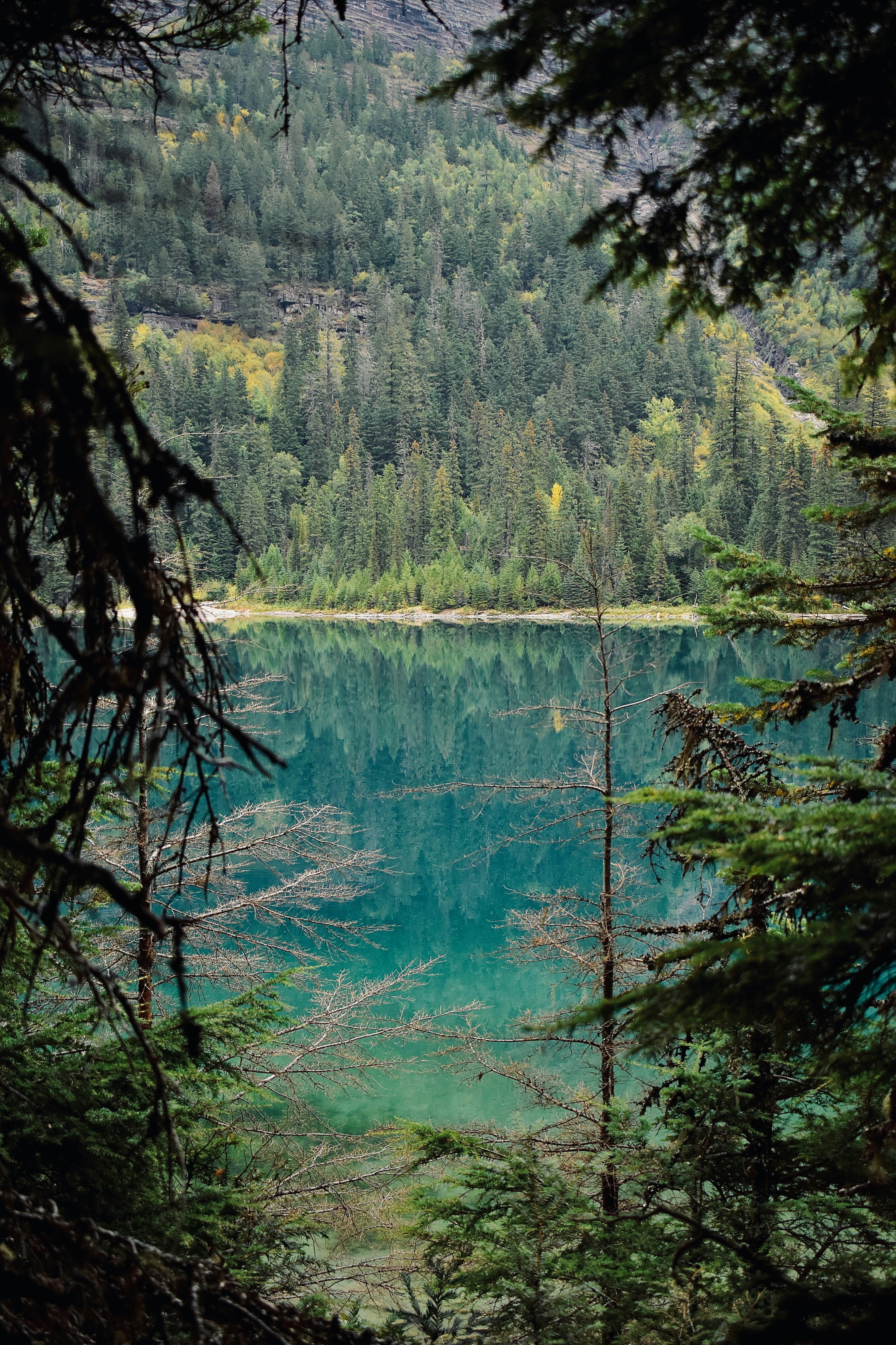 Payton Allen (@pj1999) | Comunidade de fotos da Unsplash