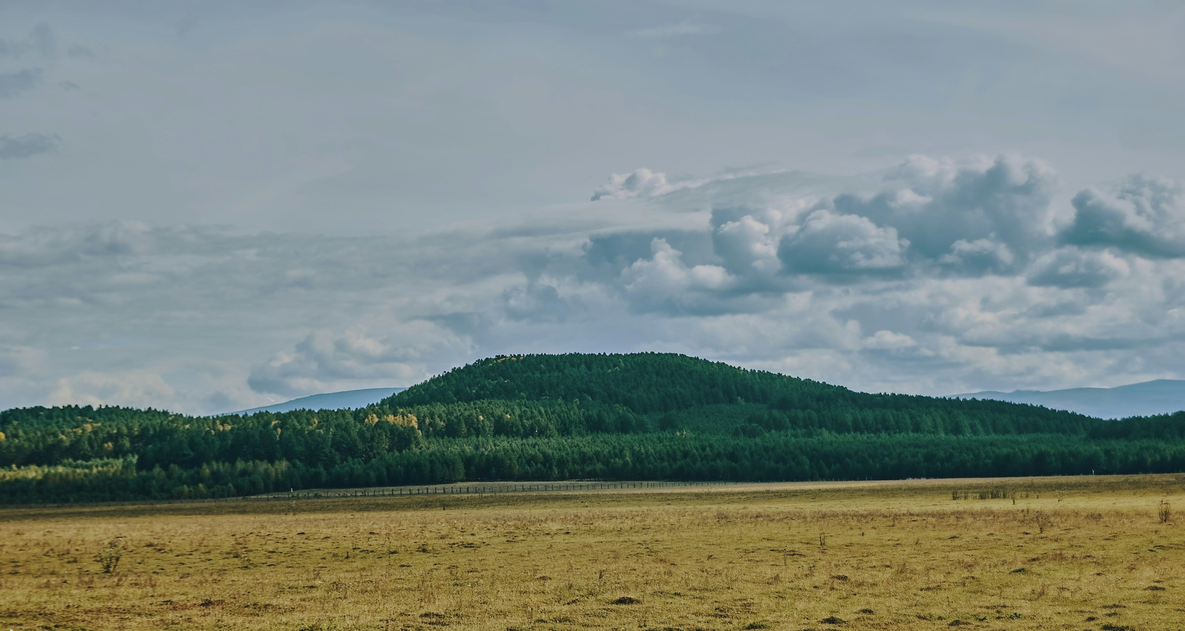 Expansive landscape featuring rolling hills adorned with lush greenery under a cloudy sky. The serene atmosphere invites contemplation.