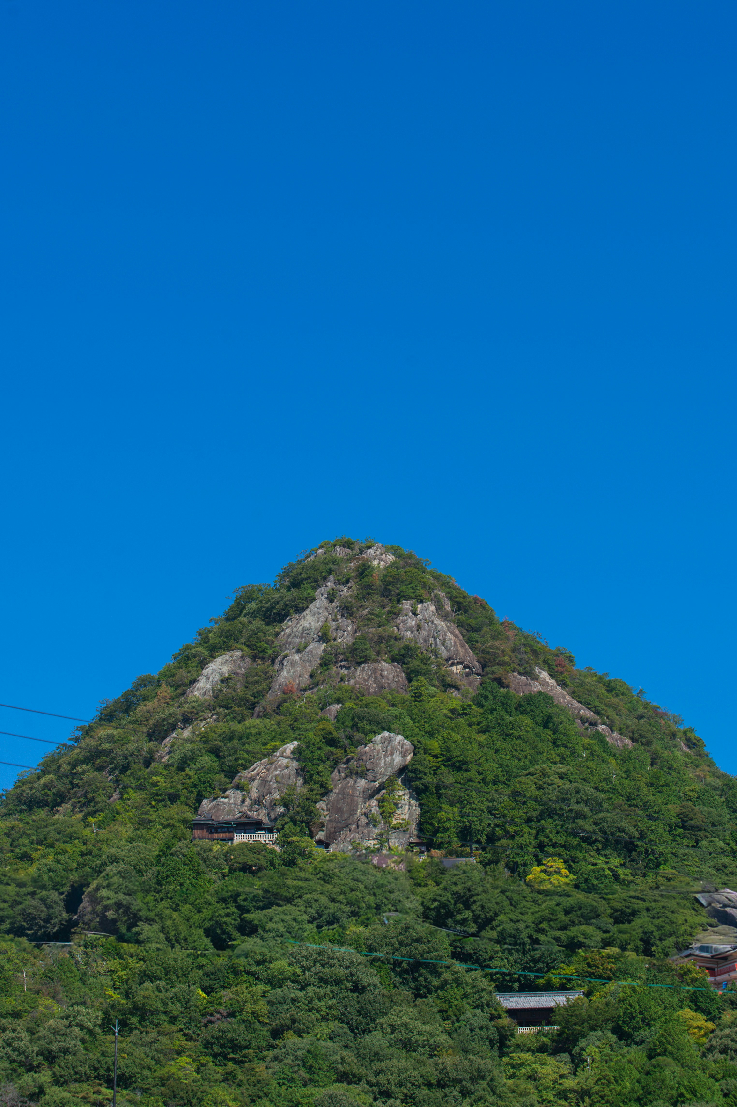 The Verdant Ascent: A Mountain's Embrace