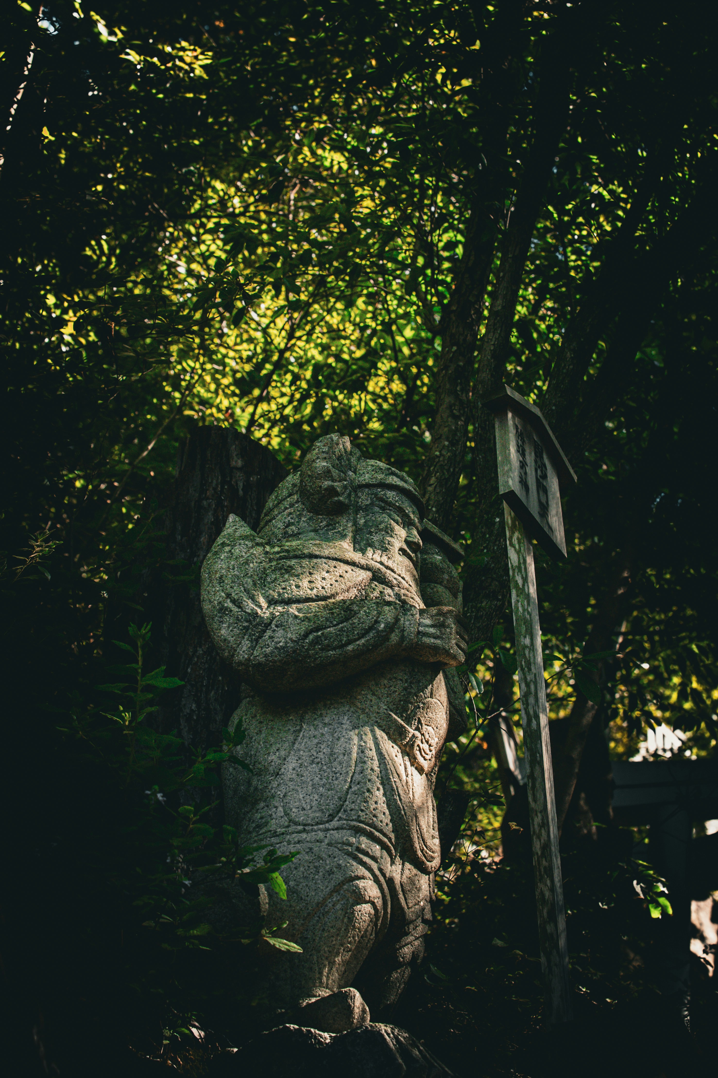 Guardian of the Grove: A Stone Sentinel in Nature's Embrace