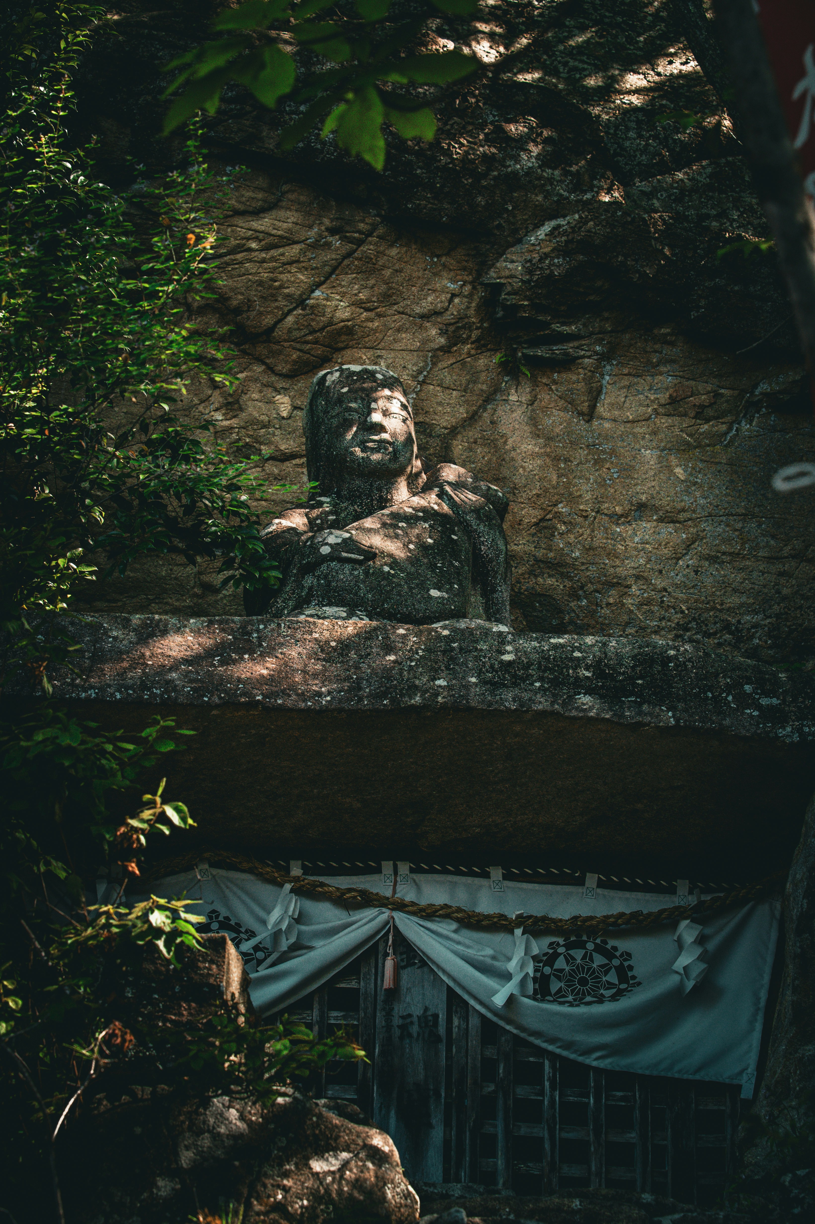 Whispers of Stone: A Guardian in Nature