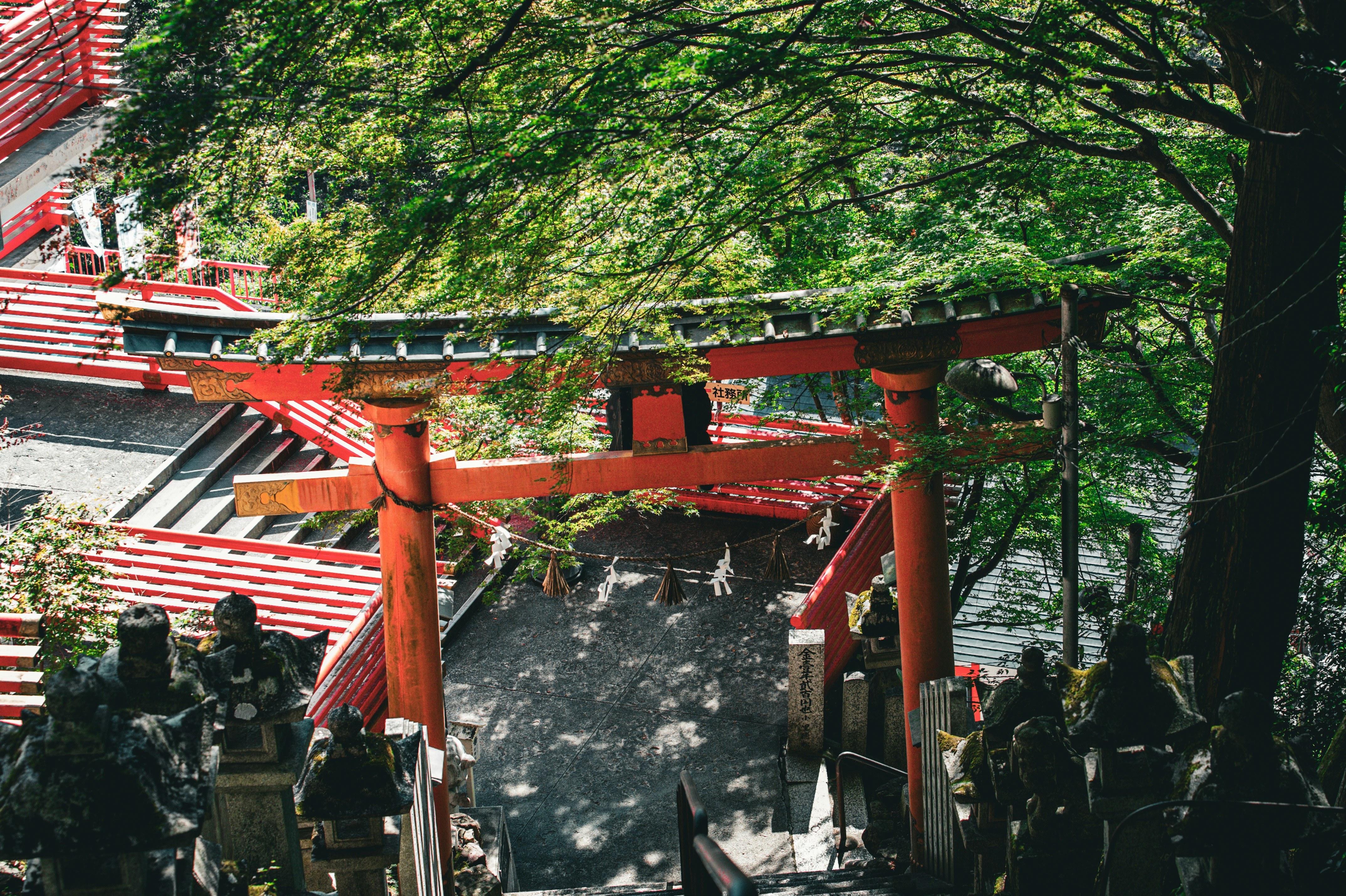 Pathway Through Tradition: A Journey to the Shrine