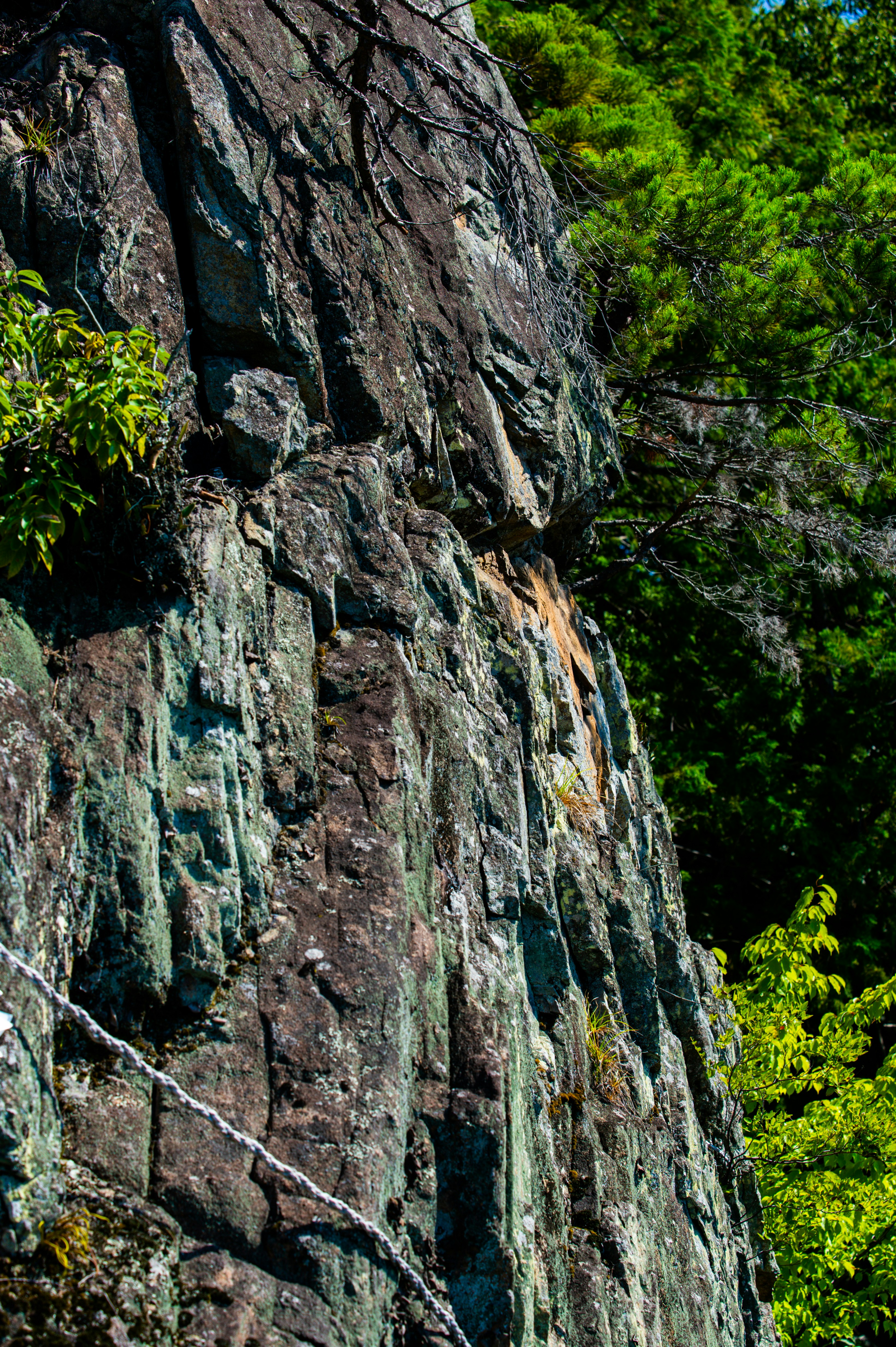 Nature's Textured Canvas: The Rocky Facade