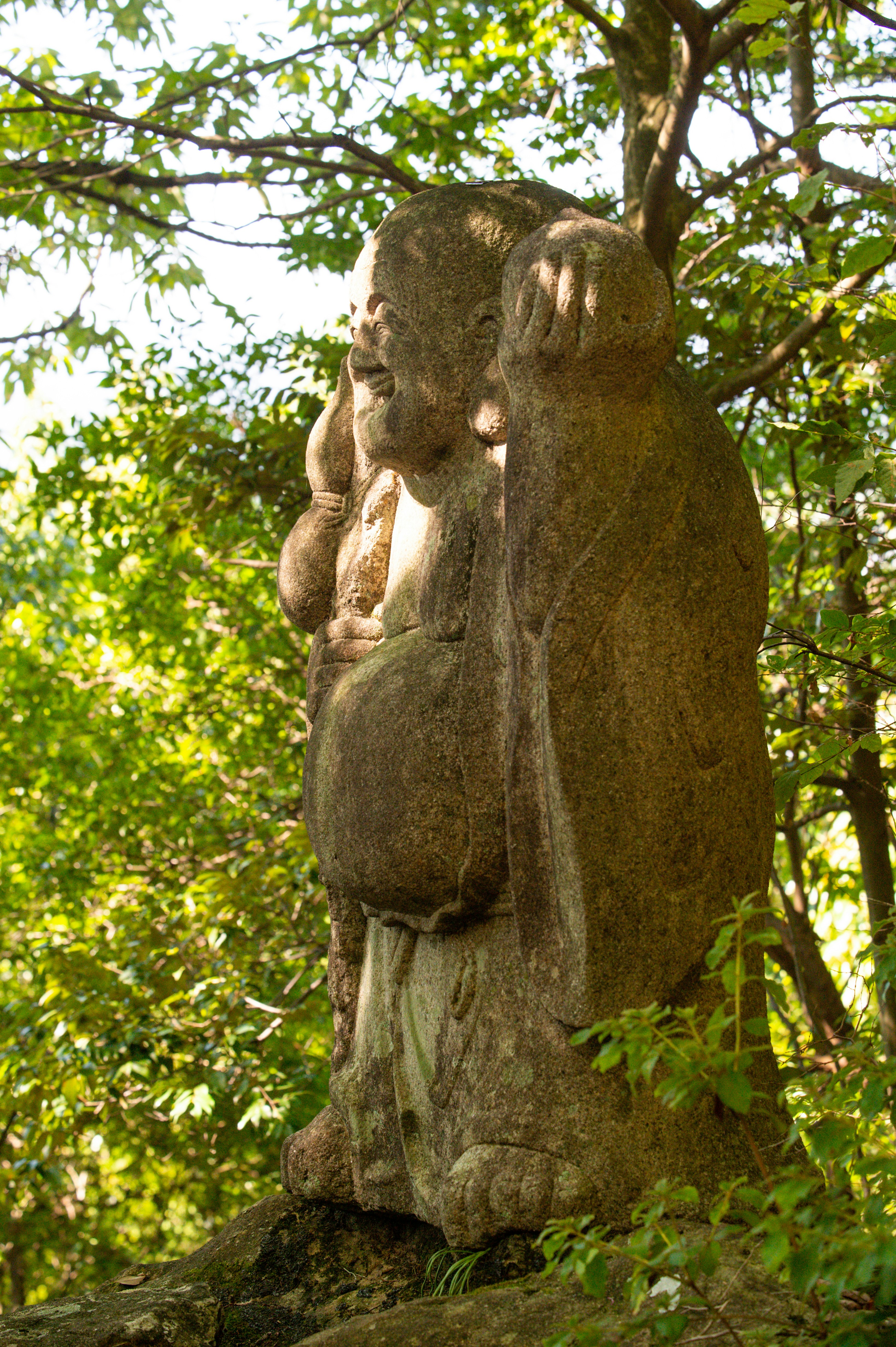 Whispers of Serenity: The Guardian of the Grove