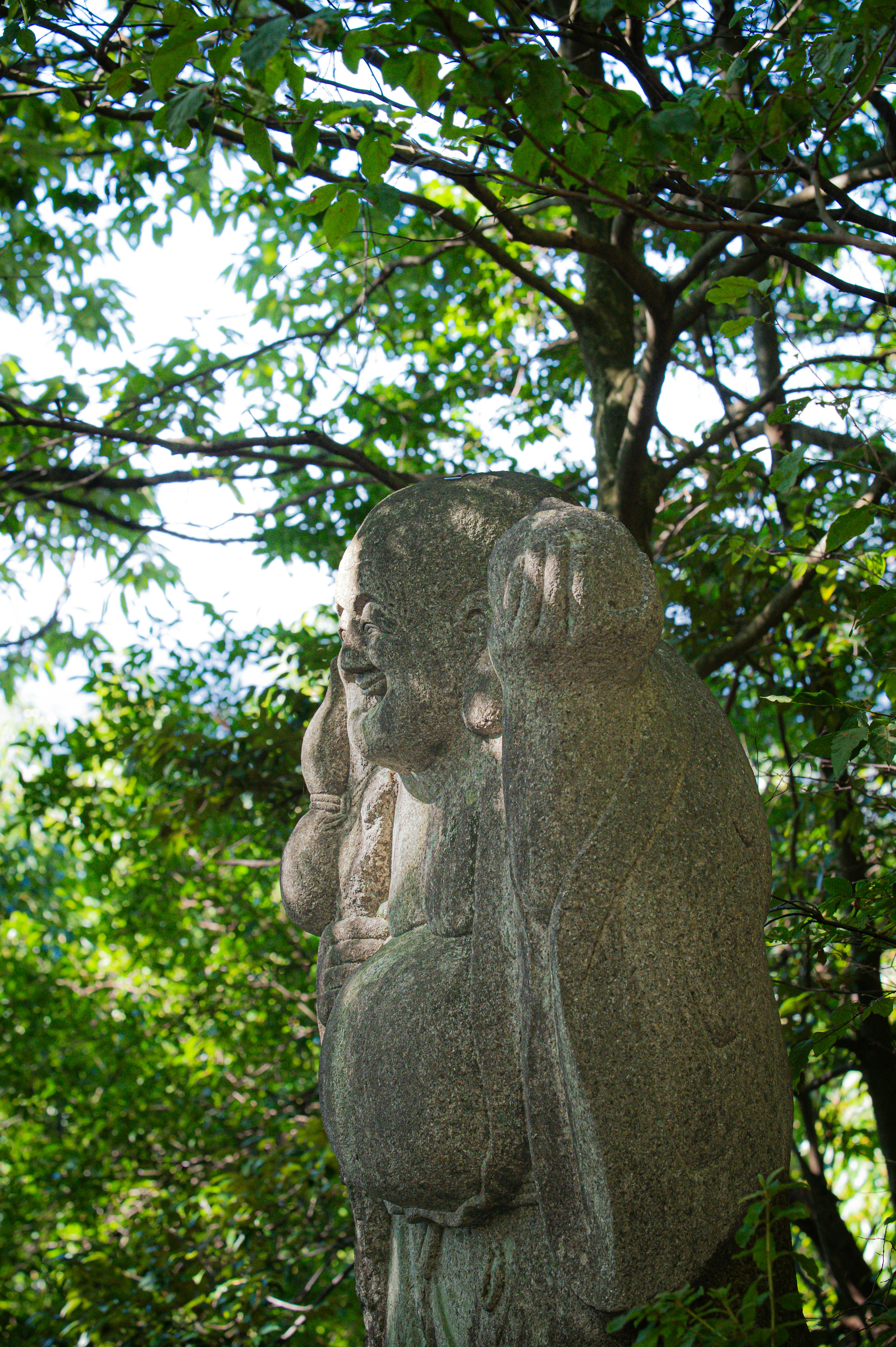 Whispers of Stone: A Serene Guardian in Nature's Embrace