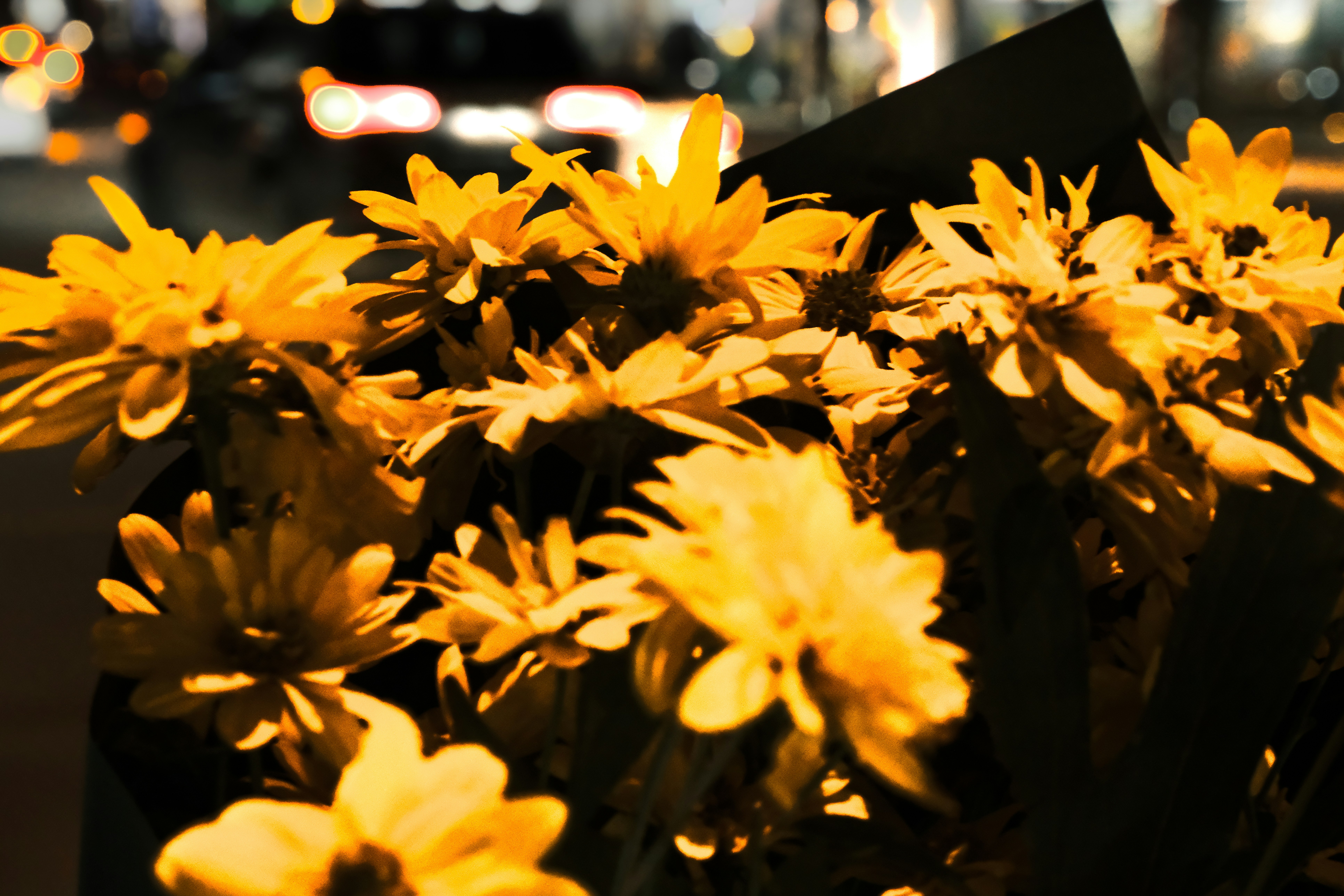 Neon Daisies in Night Traffic: A Close-Up Amid City Glow