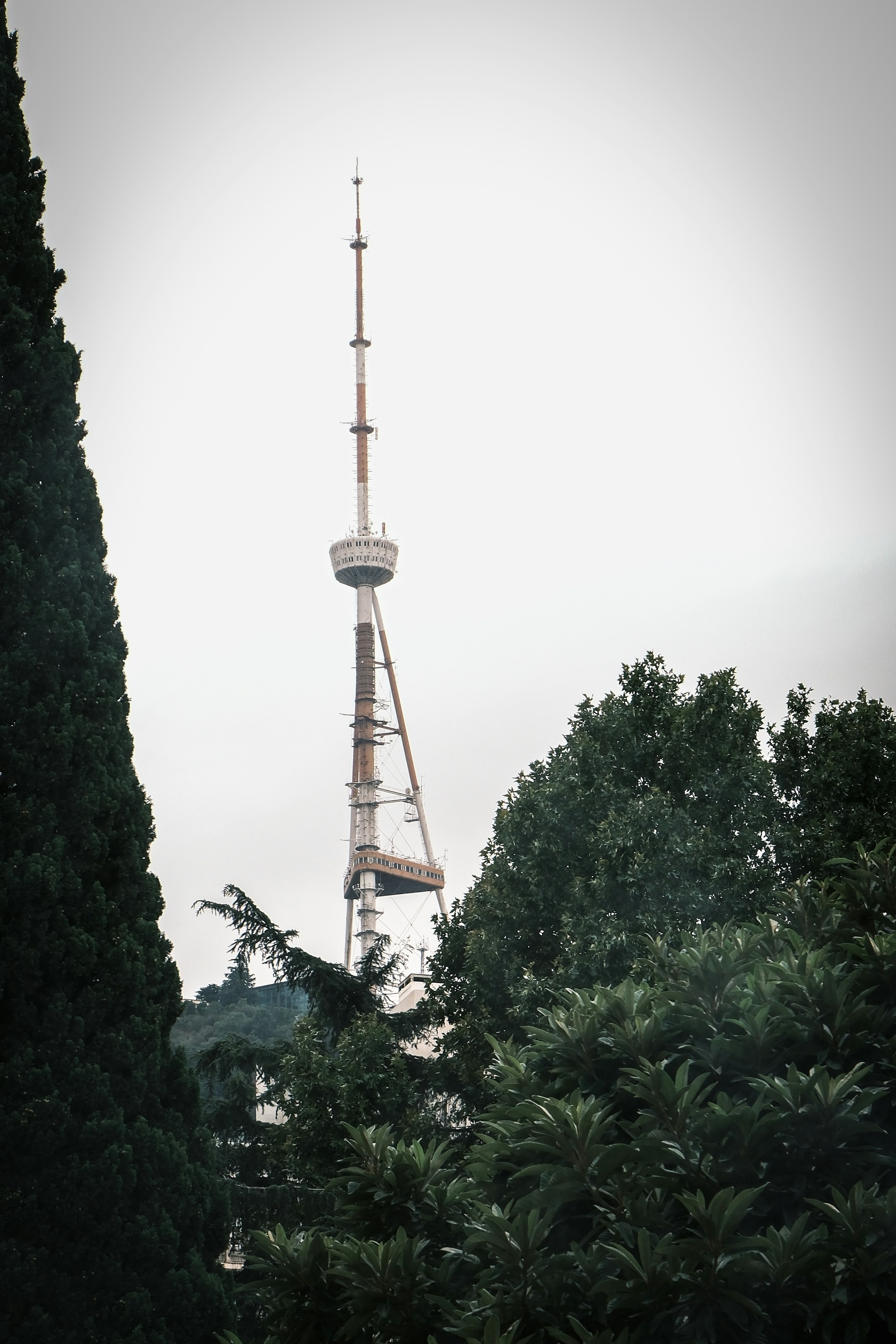 Urban Sentinel: The Tower Amongst Nature