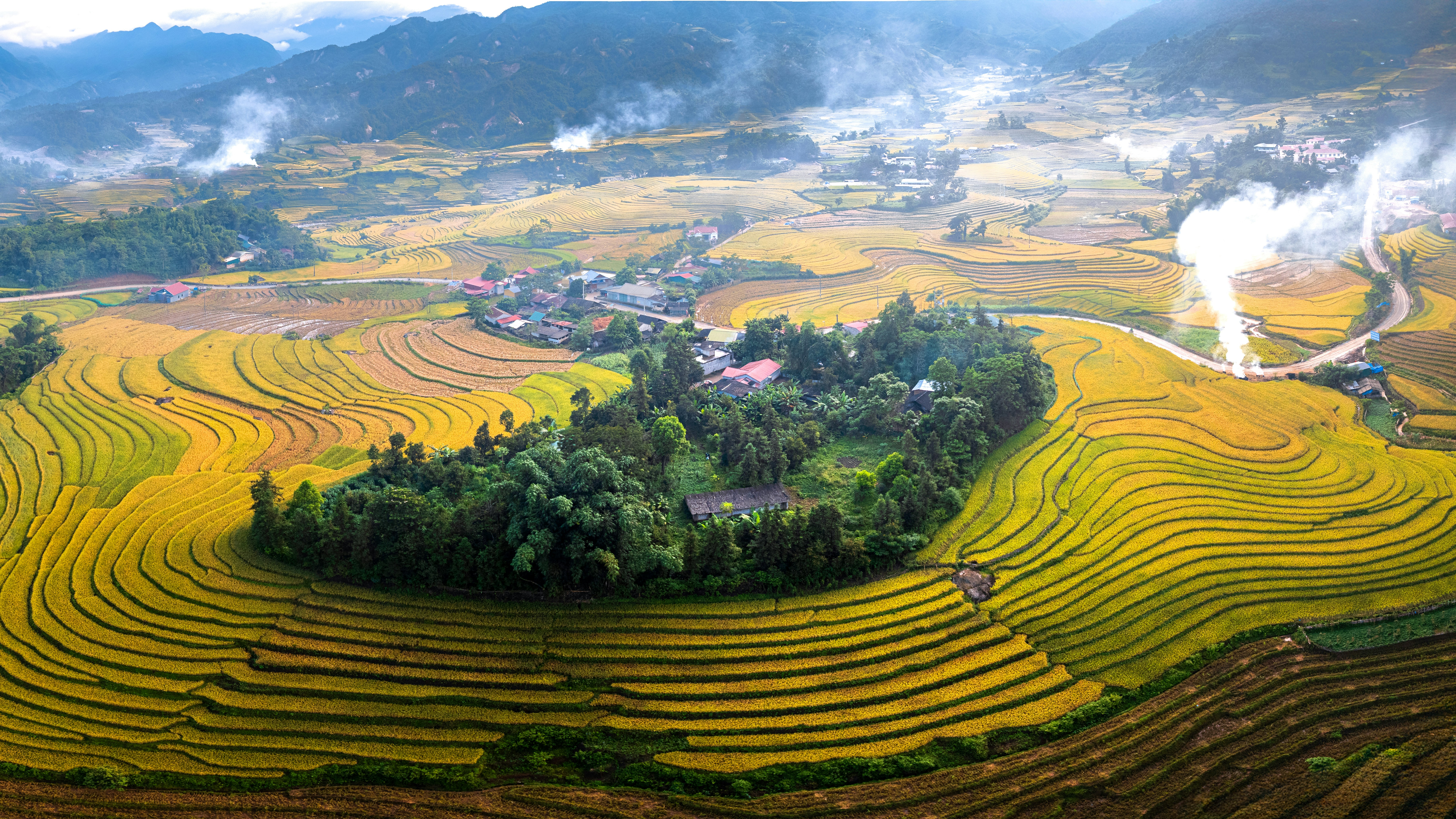 Golden rice fields lie between high mountains in Sapa, northern Vietnam. A prosperous harvest. | Golden rice terraces in a rural landscape
